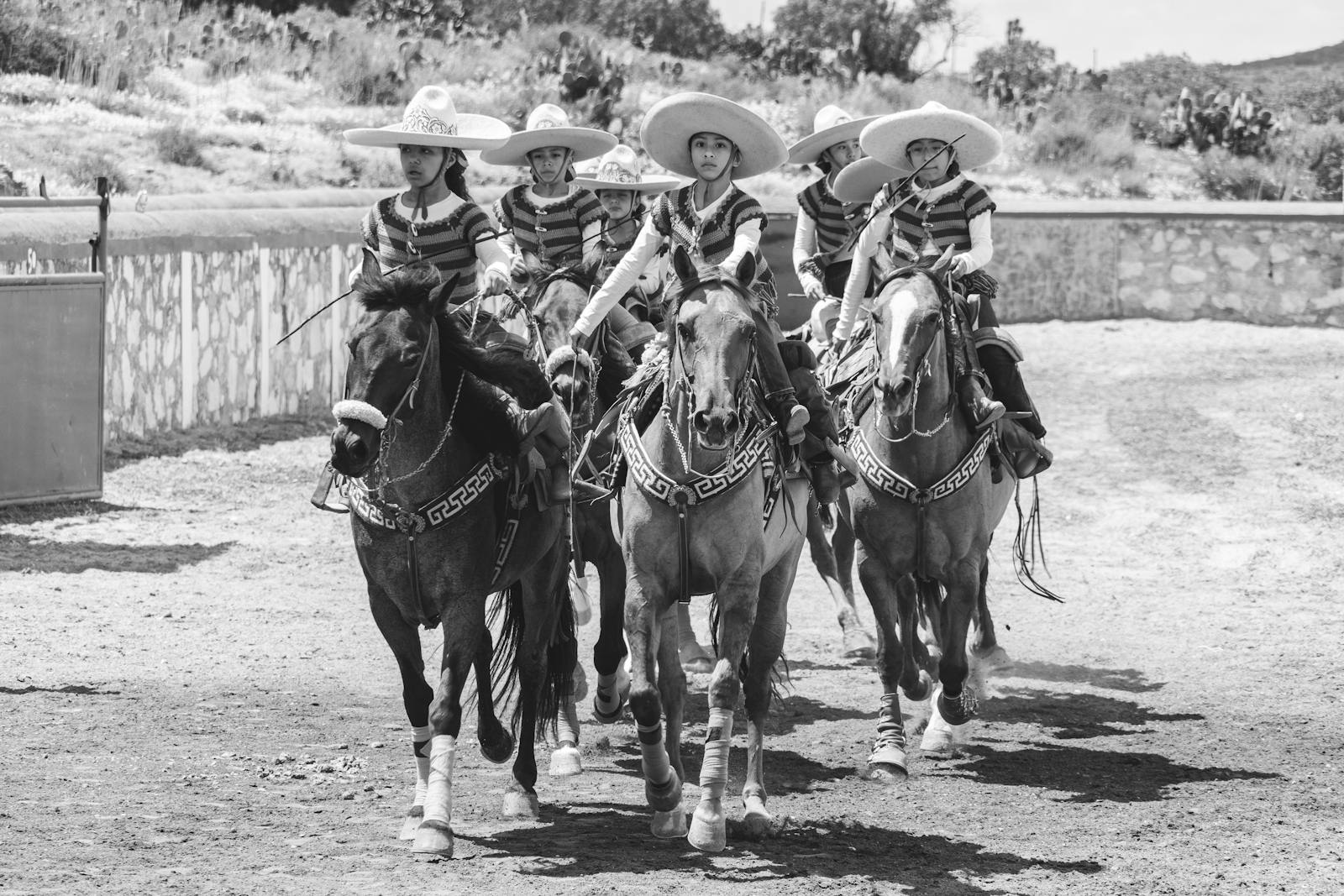 9.000+ beste Plassende+meisjes foto's · 100% gratis downloaden · Pexels ...