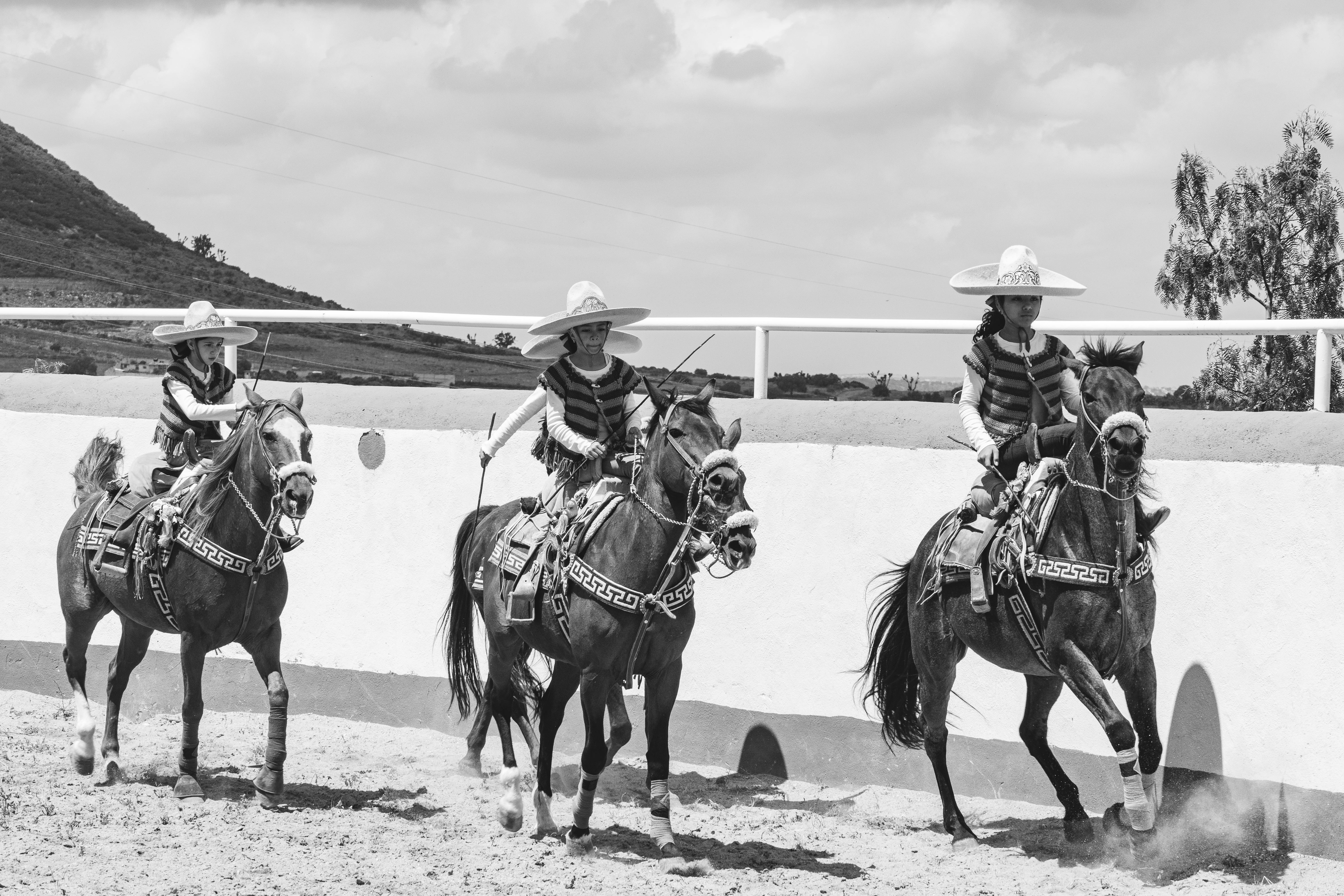 Rodeo Background Photos, Download The BEST Free Rodeo Background Stock ...