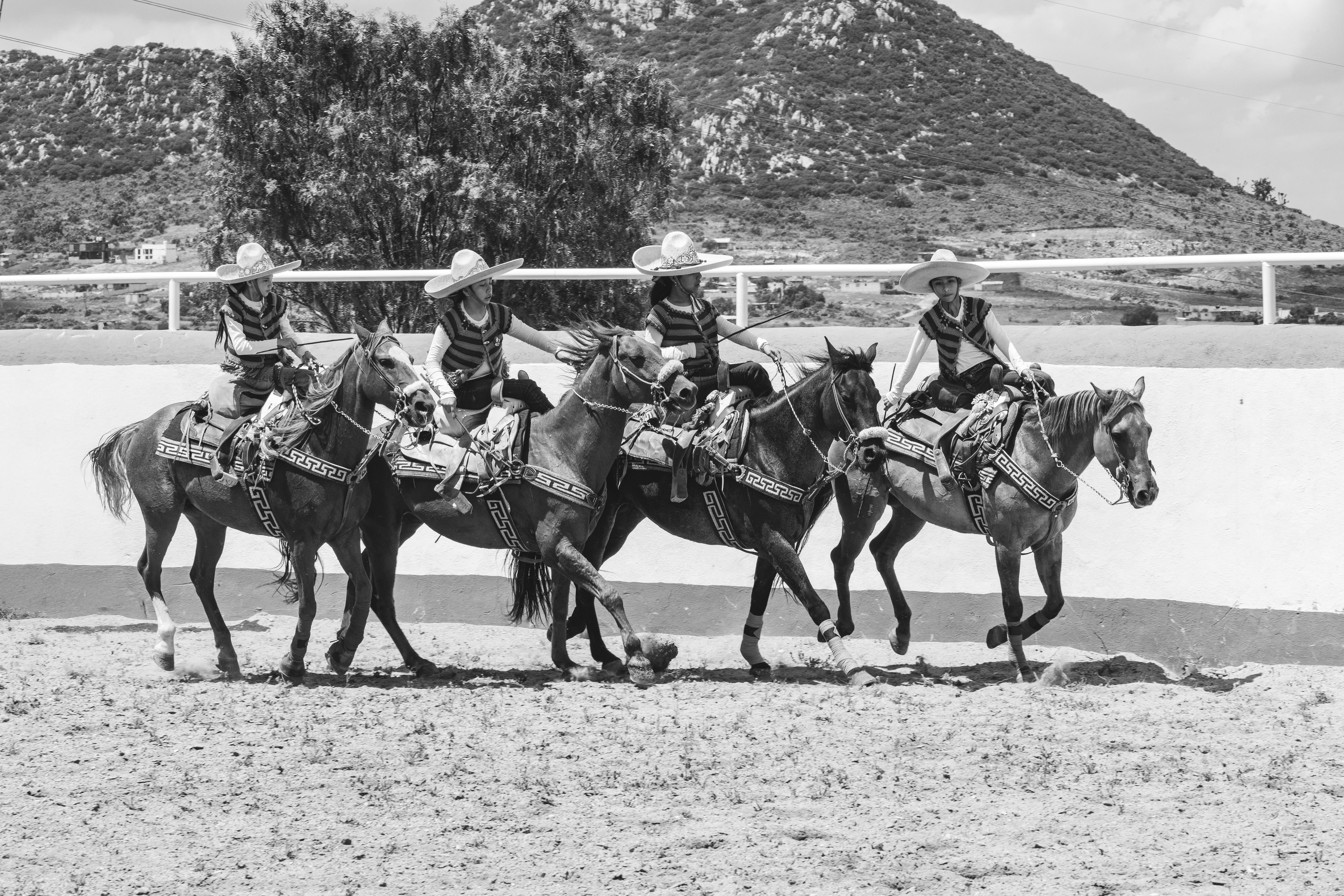 Group+Pfps Photos, Download The BEST Free Group+Pfps Stock Photos & HD ...