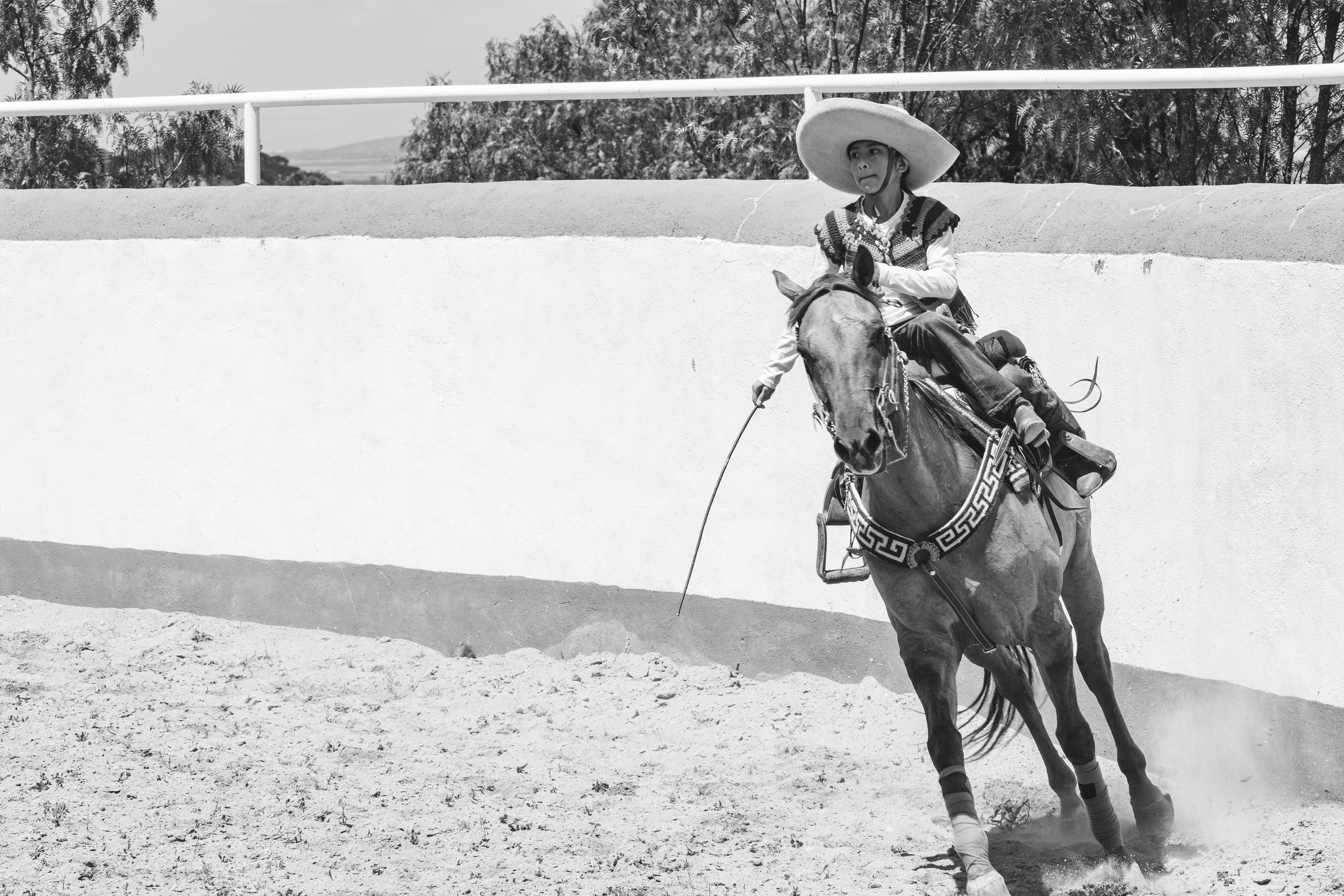 Western Photos, Download The BEST Free Western Stock Photos & HD Images