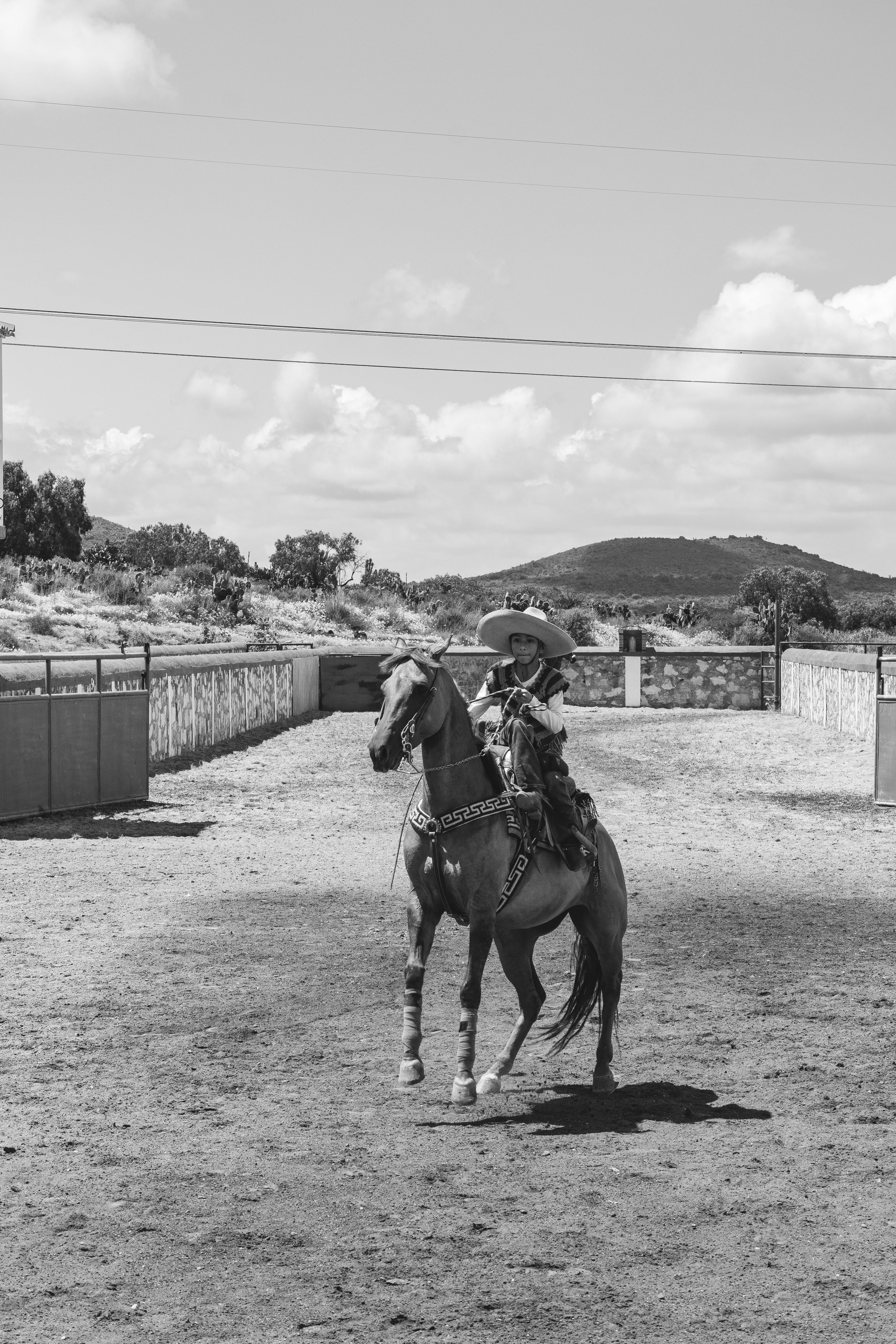 Horse Rider Photos, Download The BEST Free Horse Rider Stock Photos ...