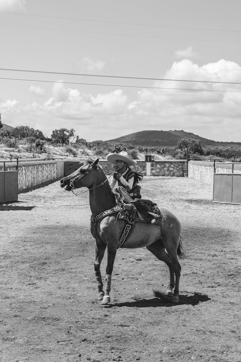 Horse Rider Photos, Download The BEST Free Horse Rider Stock Photos ...