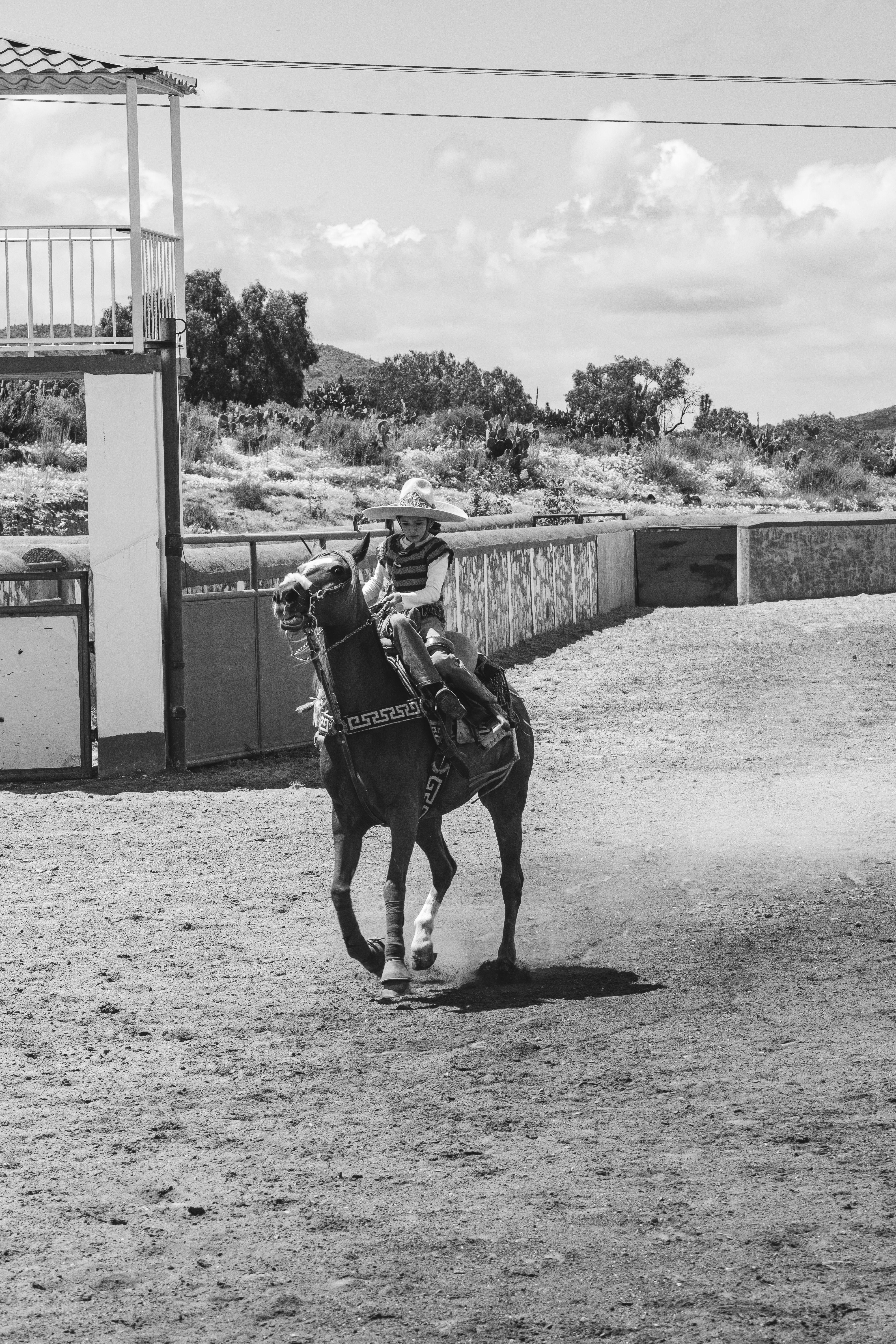 Horse Rider in Rodeo Arena, San Juan Tizahuapan · Free Stock Photo