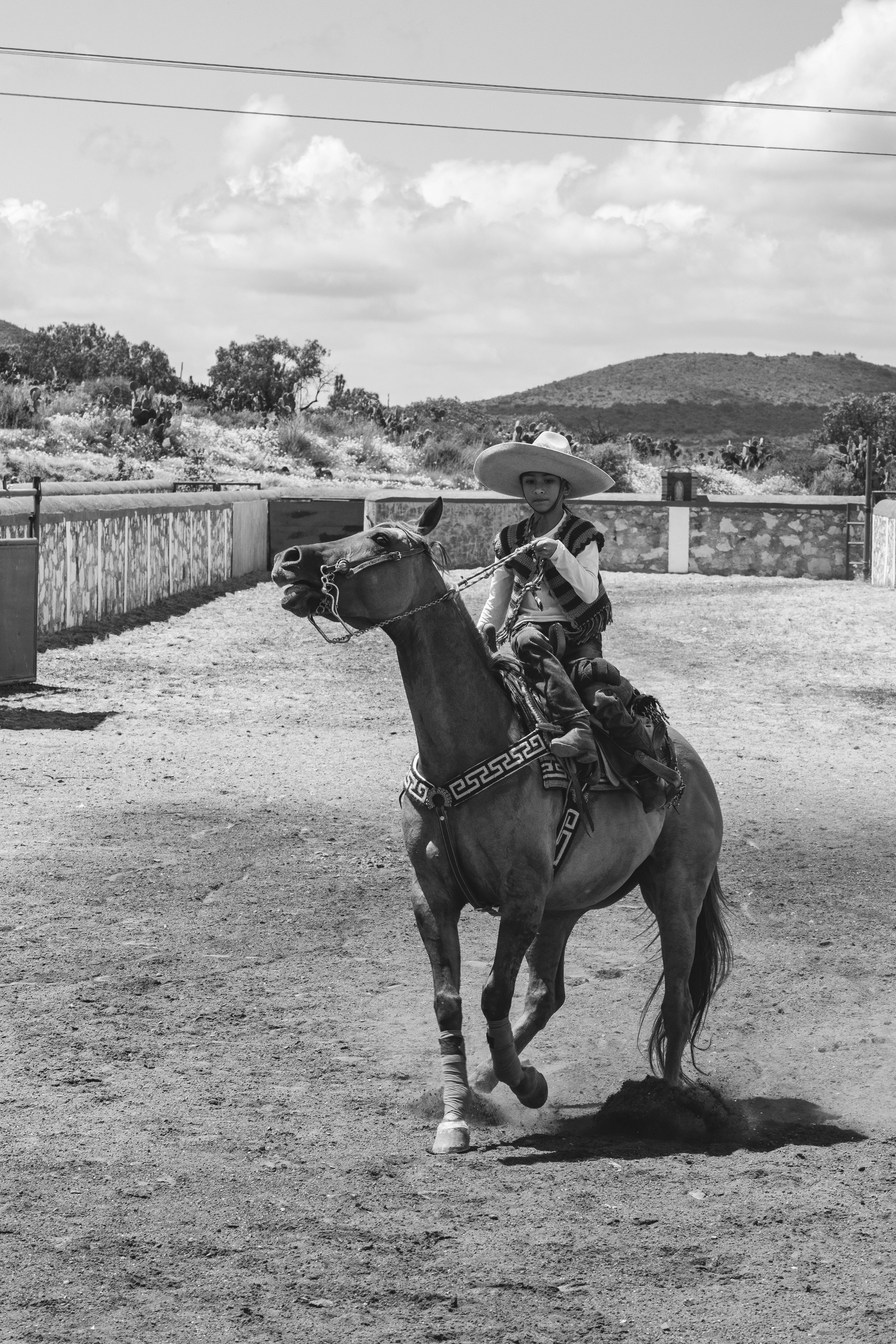 Horse Rider Photos, Download The BEST Free Horse Rider Stock Photos ...