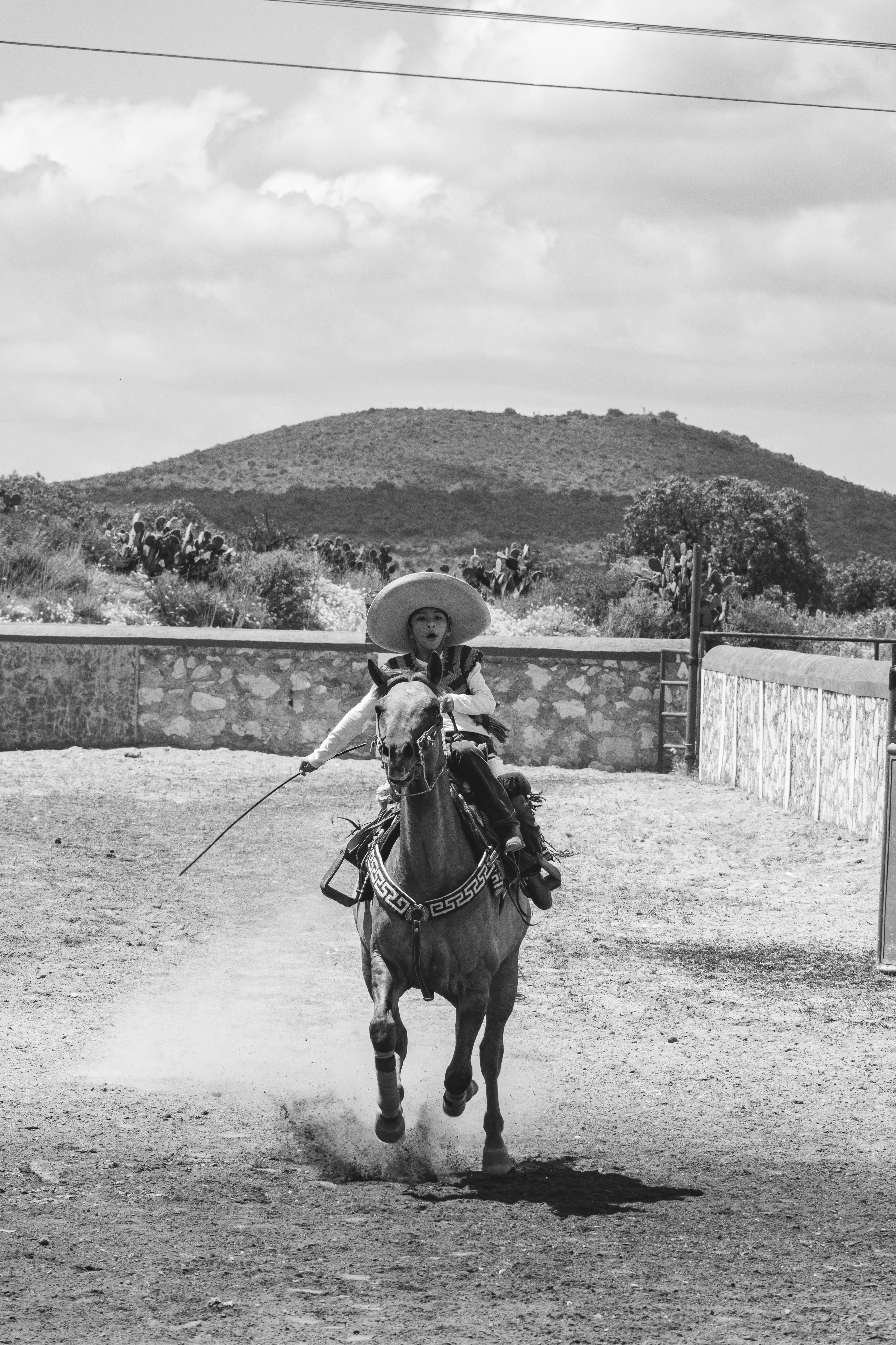 Rodeo Background Photos, Download The BEST Free Rodeo Background Stock ...