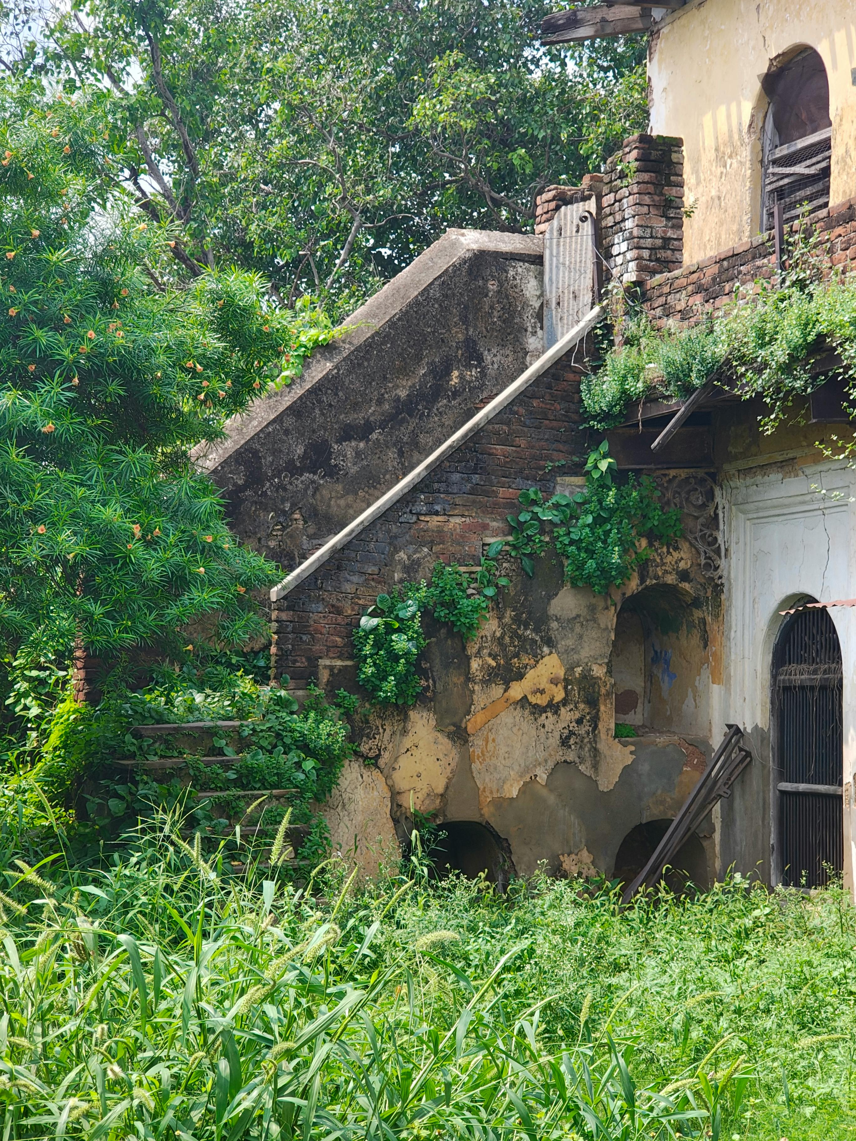 Primirive Cement Photos, Download The BEST Free Primirive Cement Stock ...