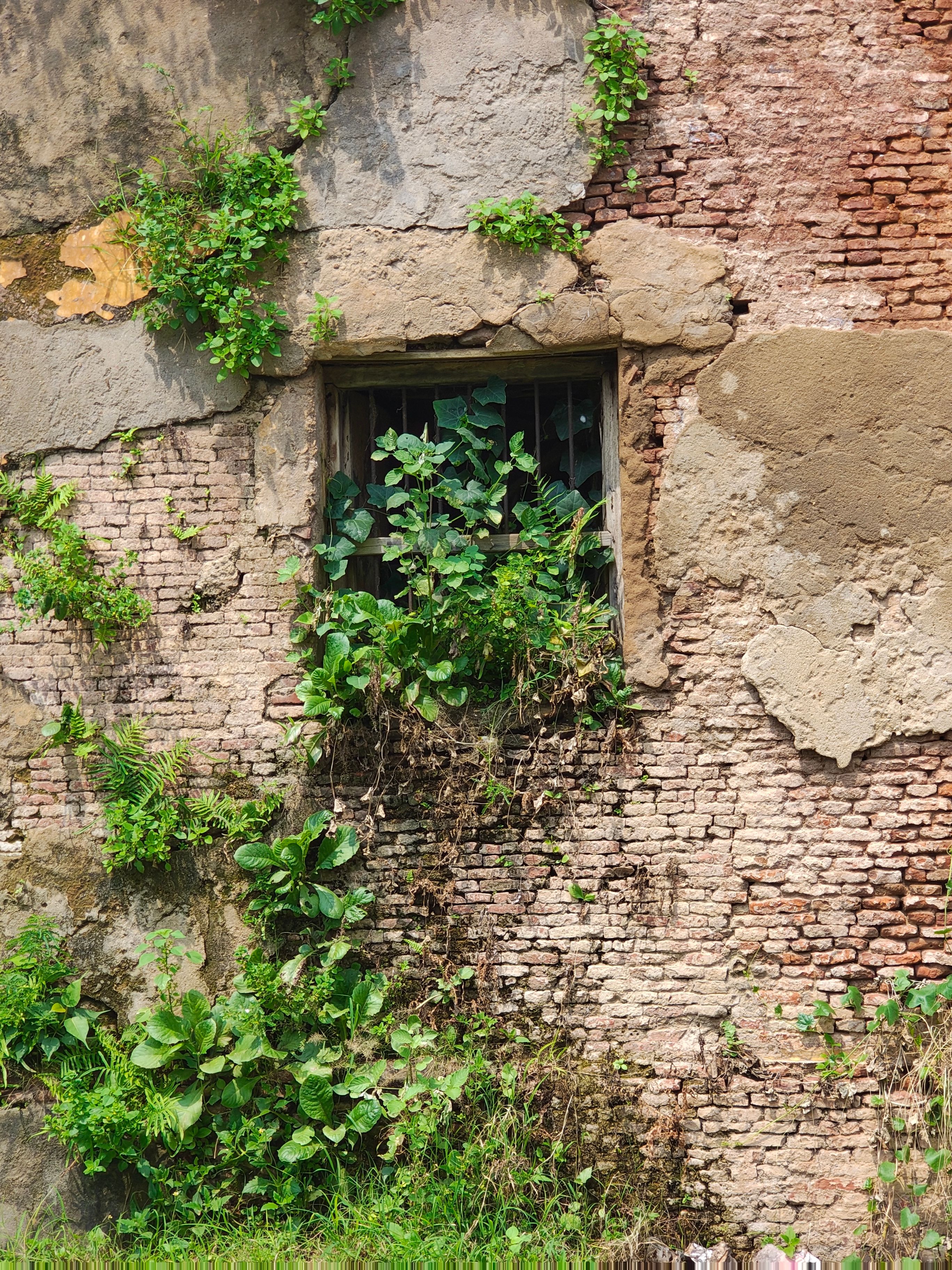 Resilience Photos, Download The BEST Free Resilience Stock Photos & HD ...