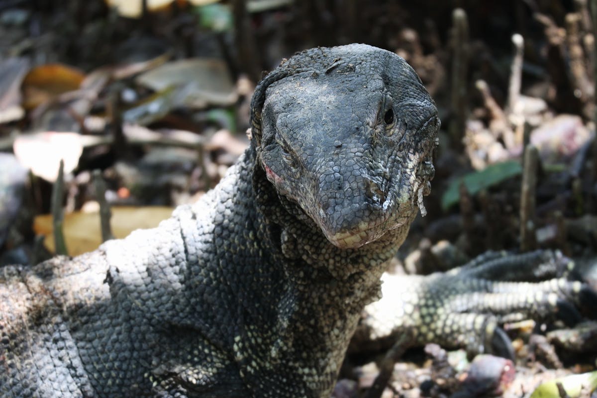 Anime+Girl+With+No+Clothes Photos, Download The BEST Free Anime+Girl ...