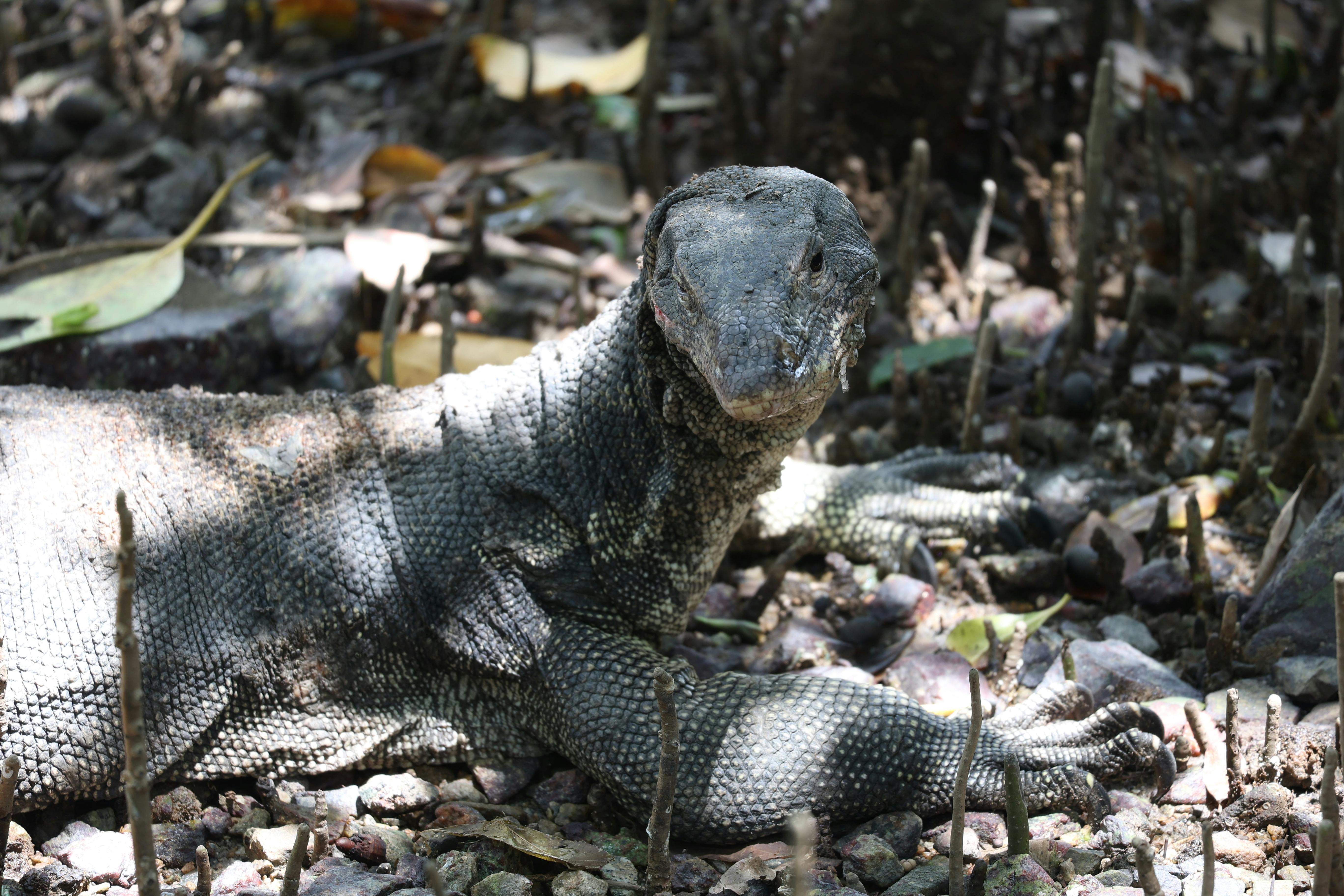 Anime+Wallpaper+Tuff Photos, Download The BEST Free Anime+Wallpaper ...