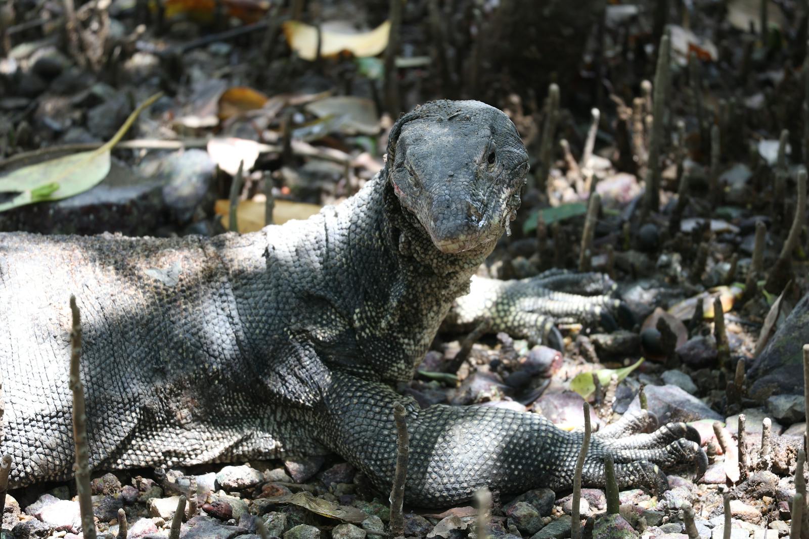 Anime+Girl+With+No+Clothes Photos, Download The BEST Free Anime+Girl ...