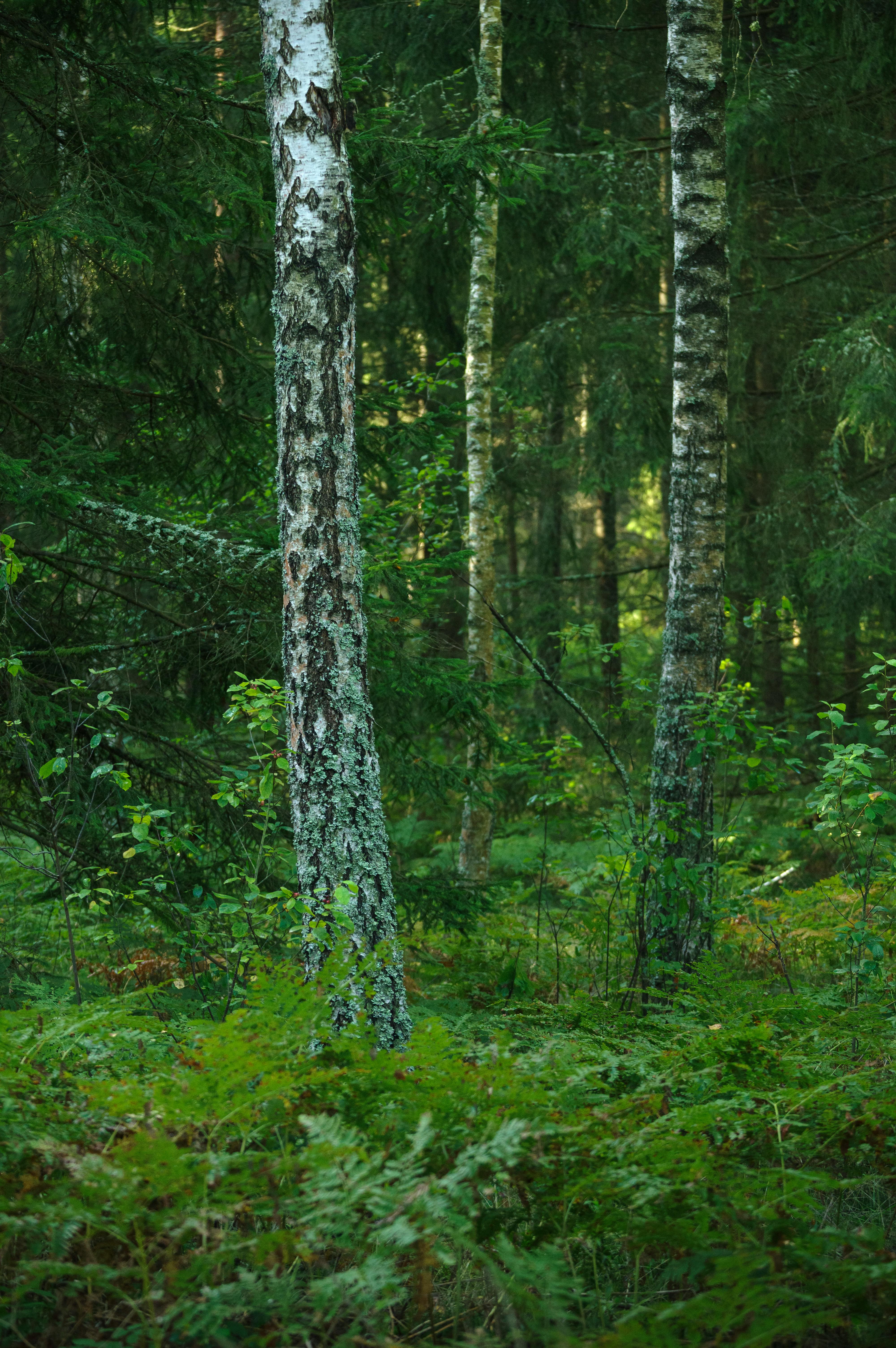 Gradation Zone Photos, Download The BEST Free Gradation Zone Stock ...