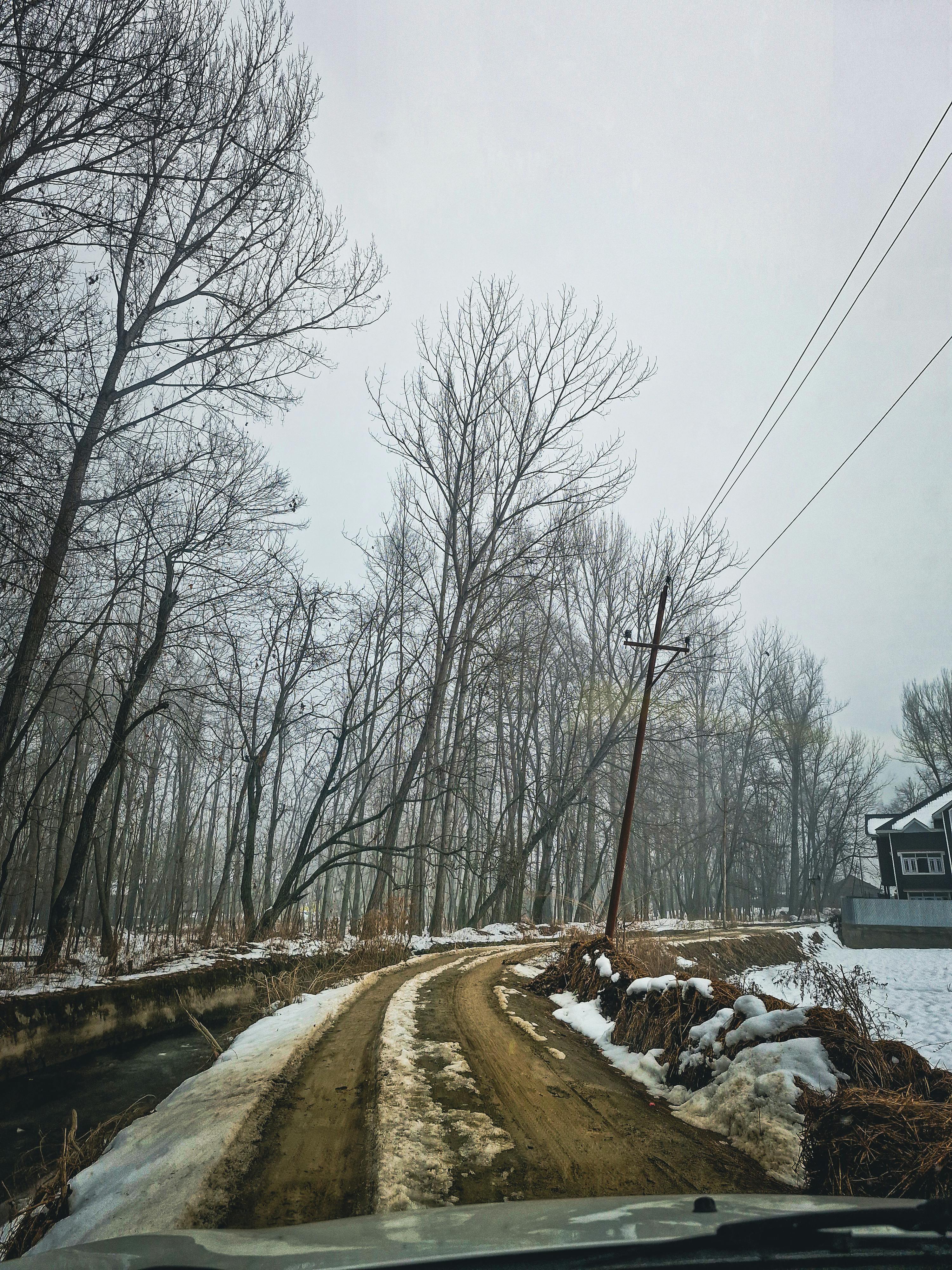 Winter Country Road Through Snowy Forest · Free Stock Photo