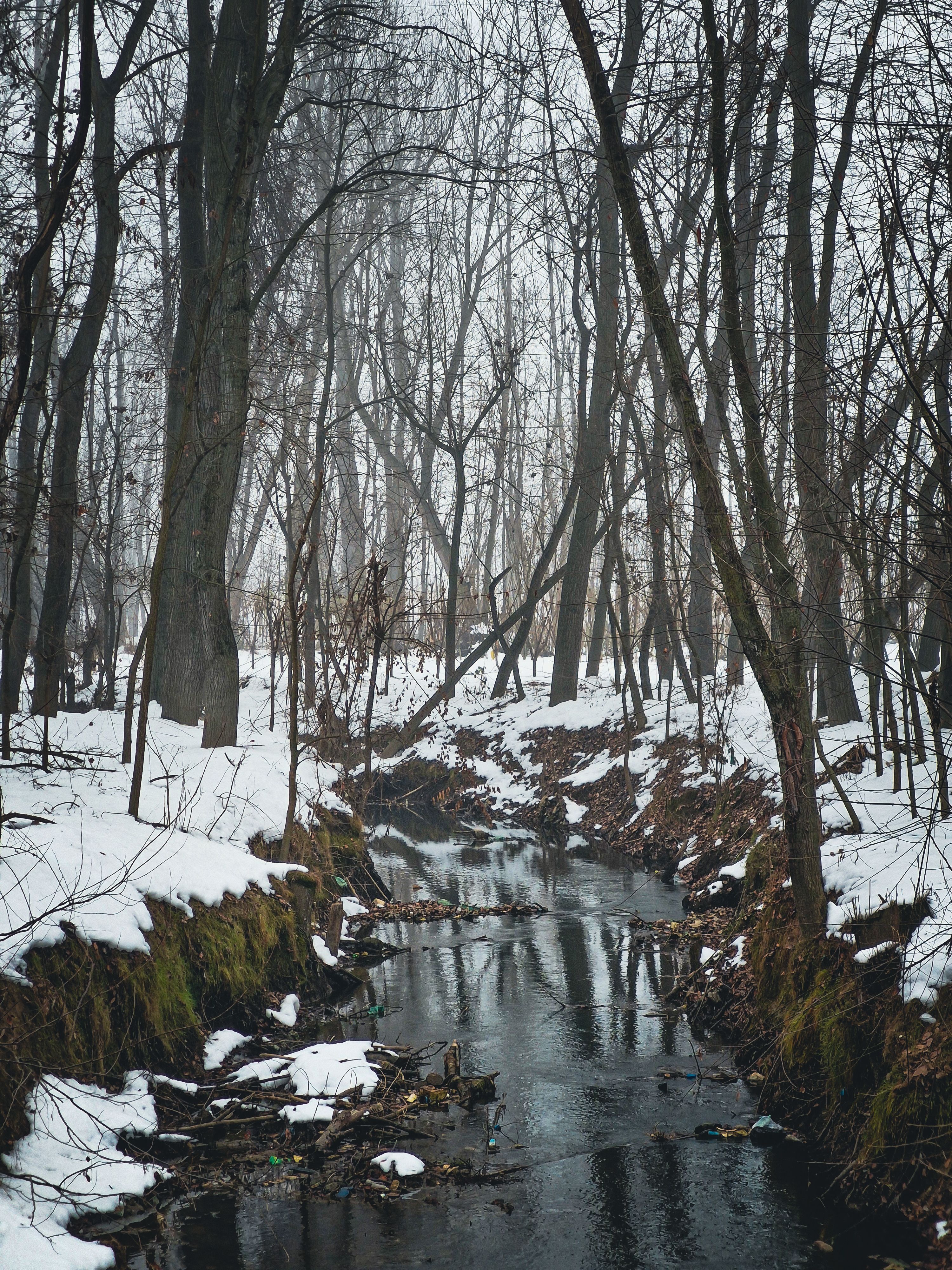 Winter Snow Photos, Download The BEST Free Winter Snow Stock Photos ...