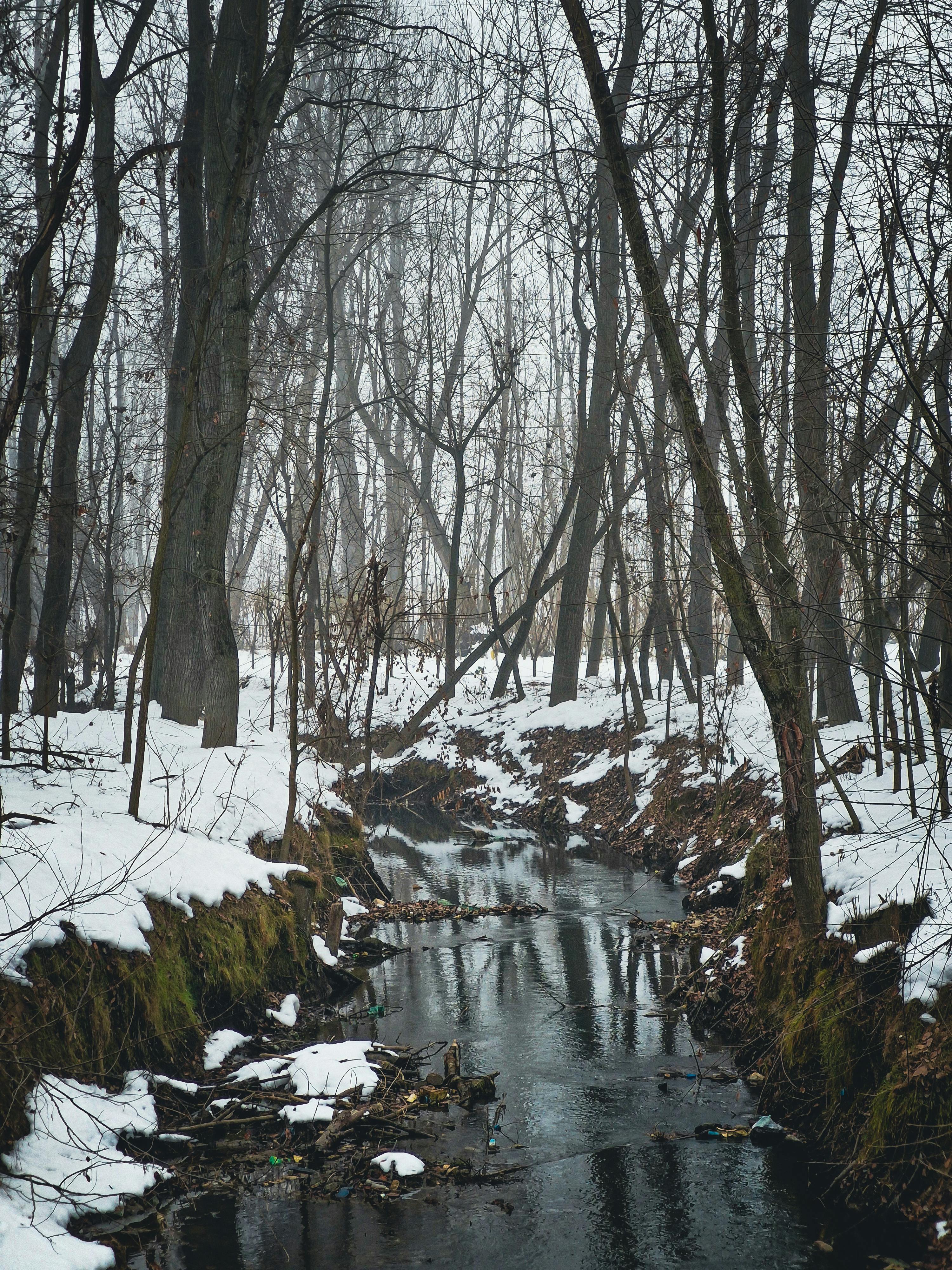 Winter Reflections Photos, Download The BEST Free Winter Reflections Stock Photos & HD Images