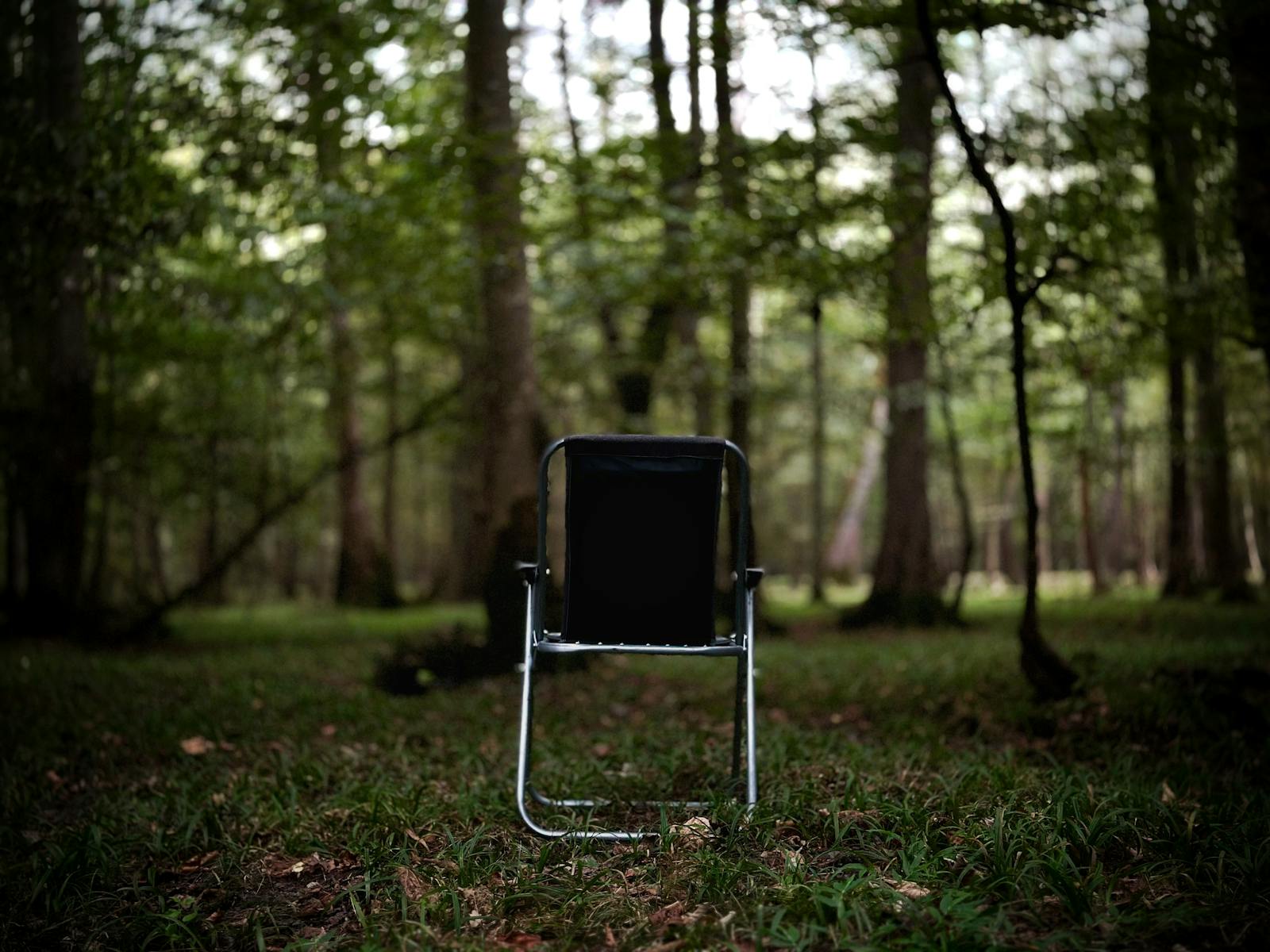 Background Nature Photos, Download The BEST Free Background Nature ...