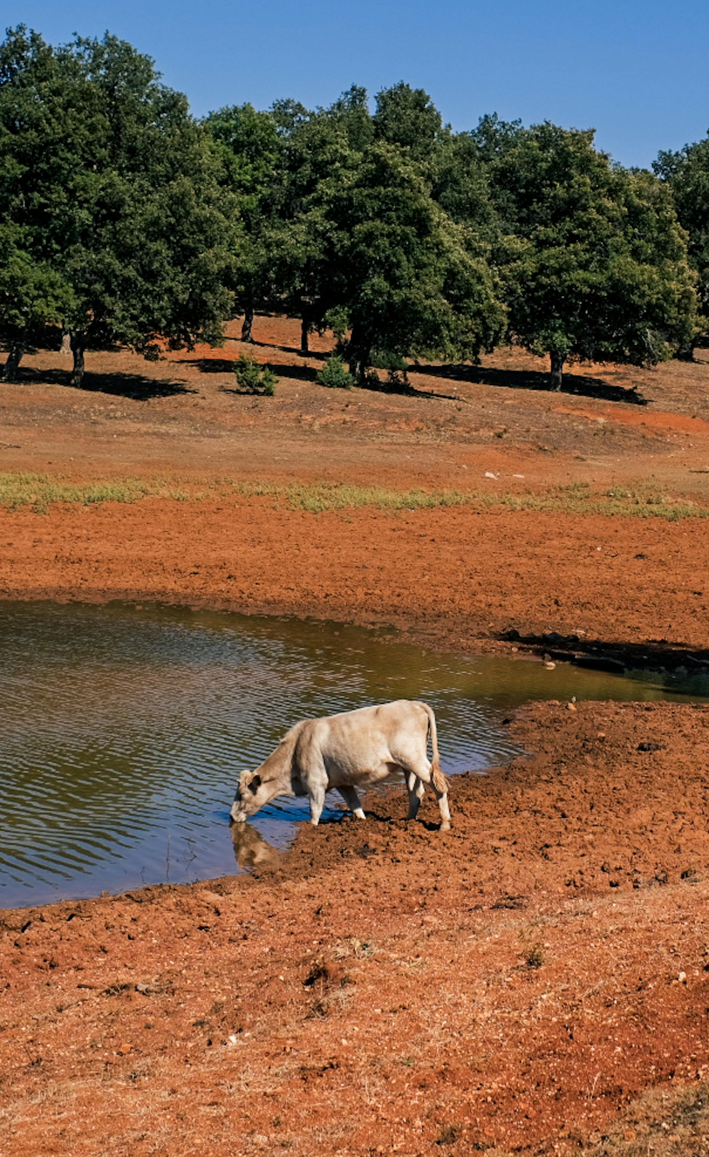 Goga+Maharaj+Photo+Hd Photos, Download The BEST Free Goga+Maharaj+Photo ...