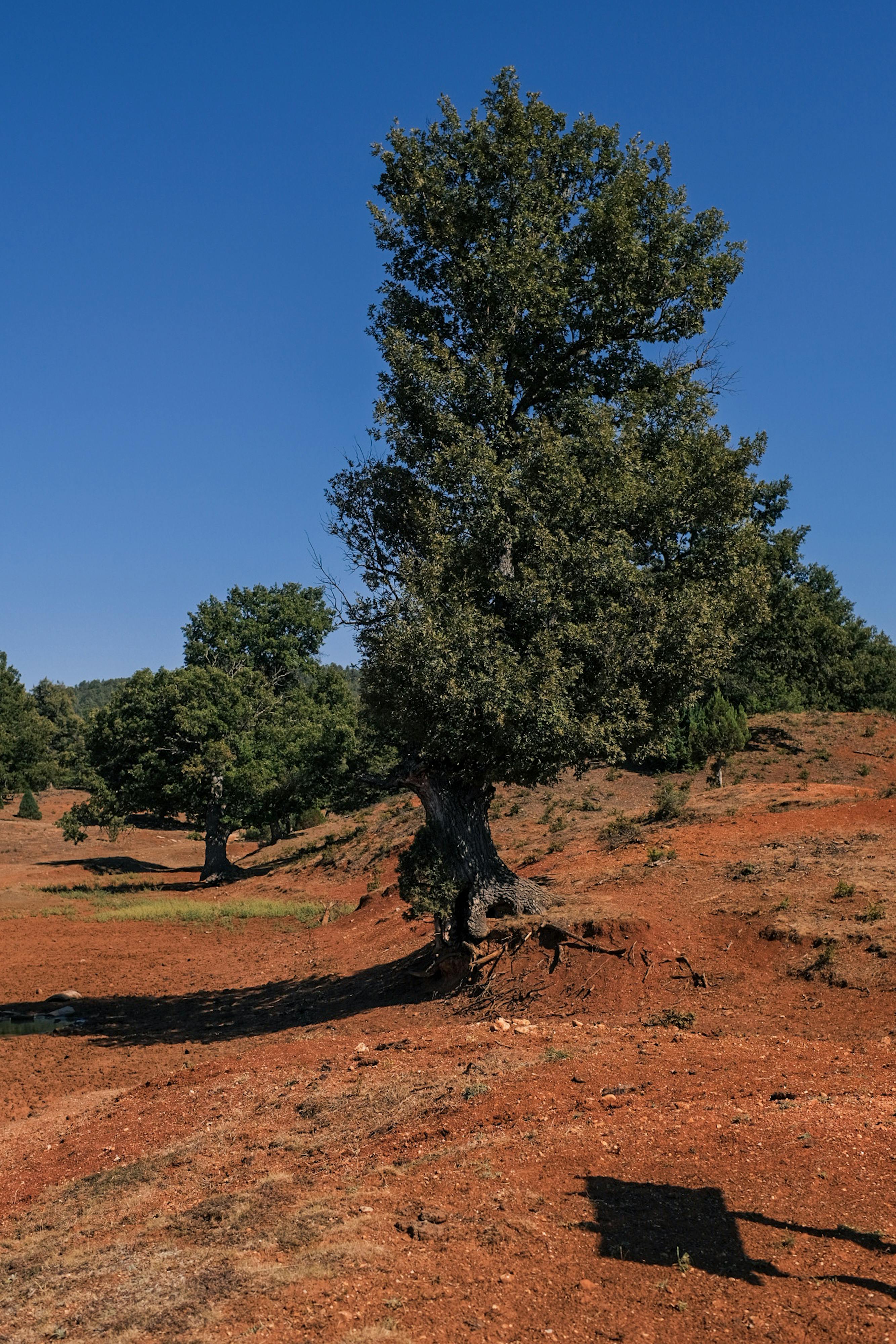 Environmental Awareness Photos, Download The BEST Free Environmental ...