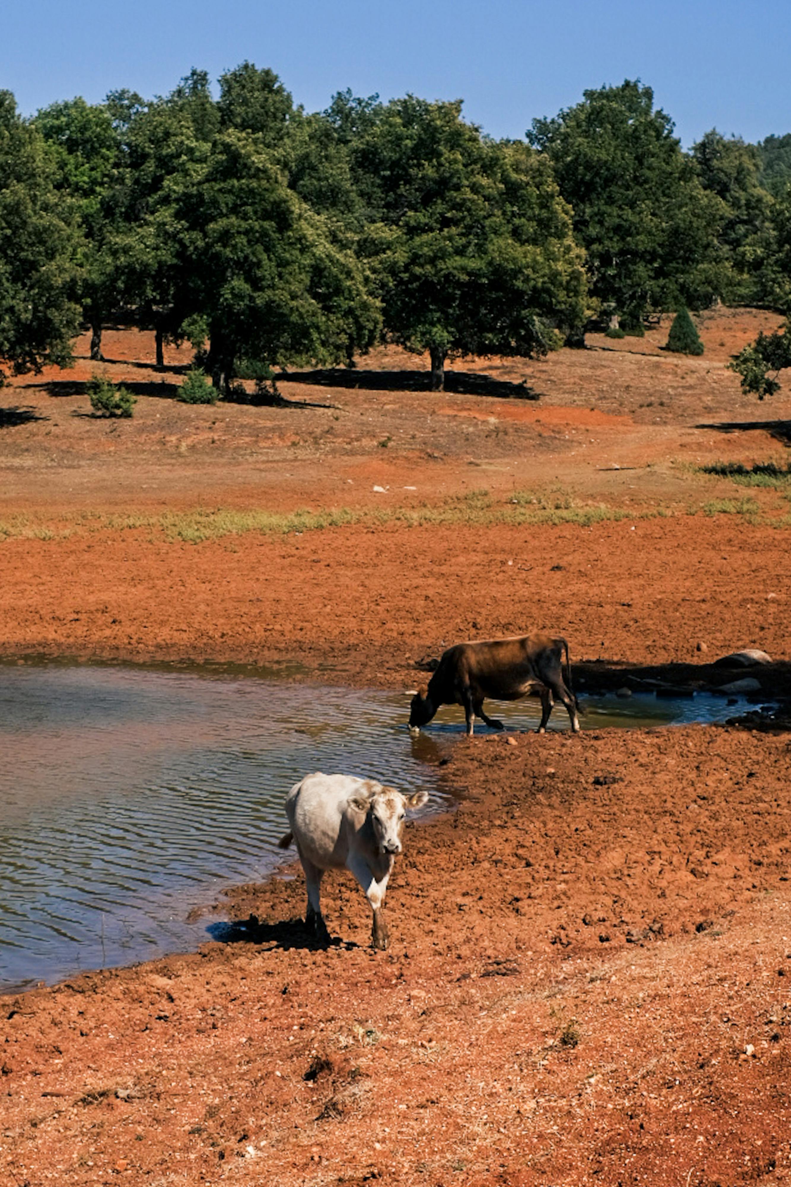 Cunnilingus Photos Photos, Download The BEST Free Cunnilingus Photos ...