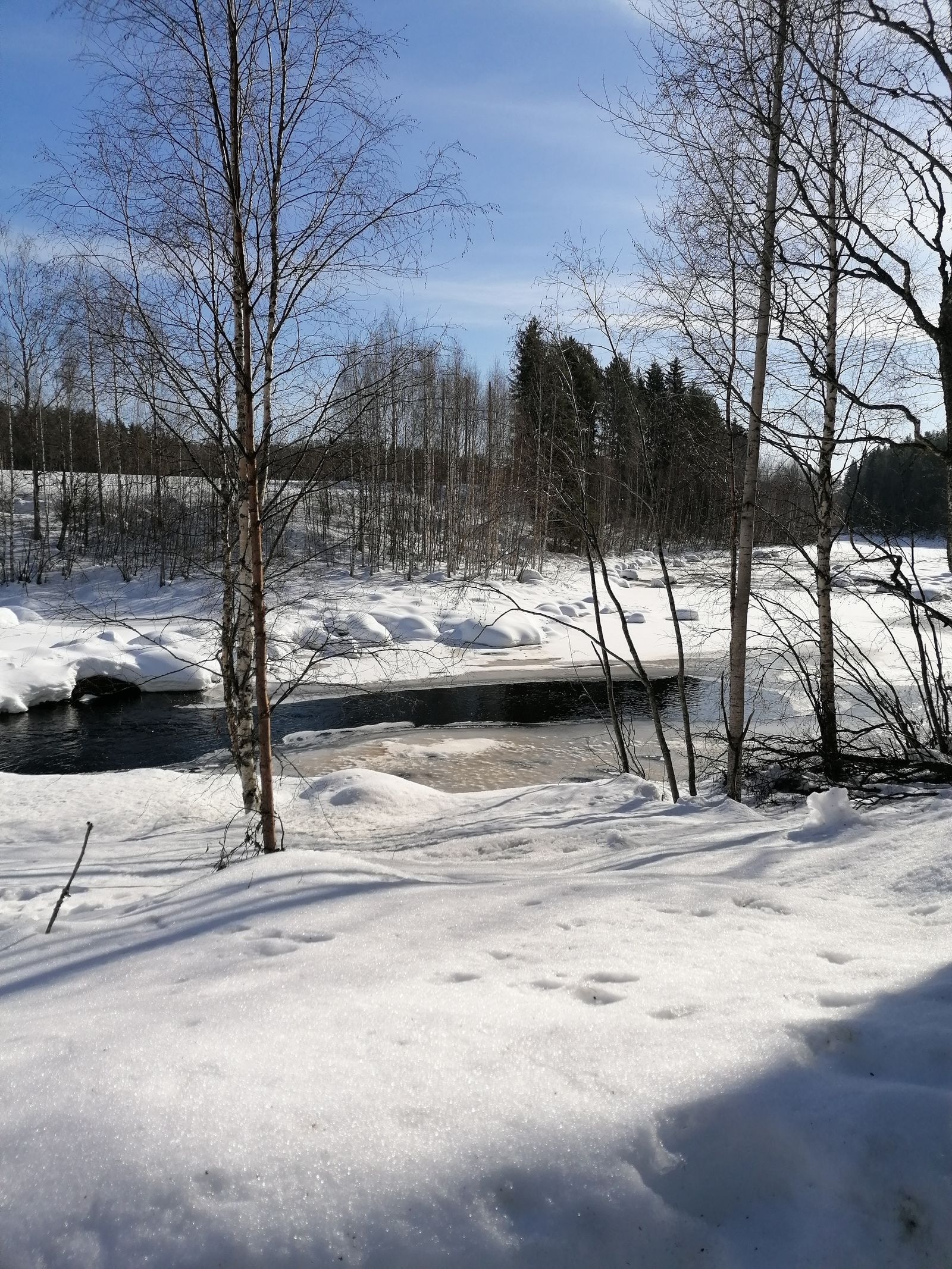 Winter Snow Photos, Download The BEST Free Winter Snow Stock Photos ...