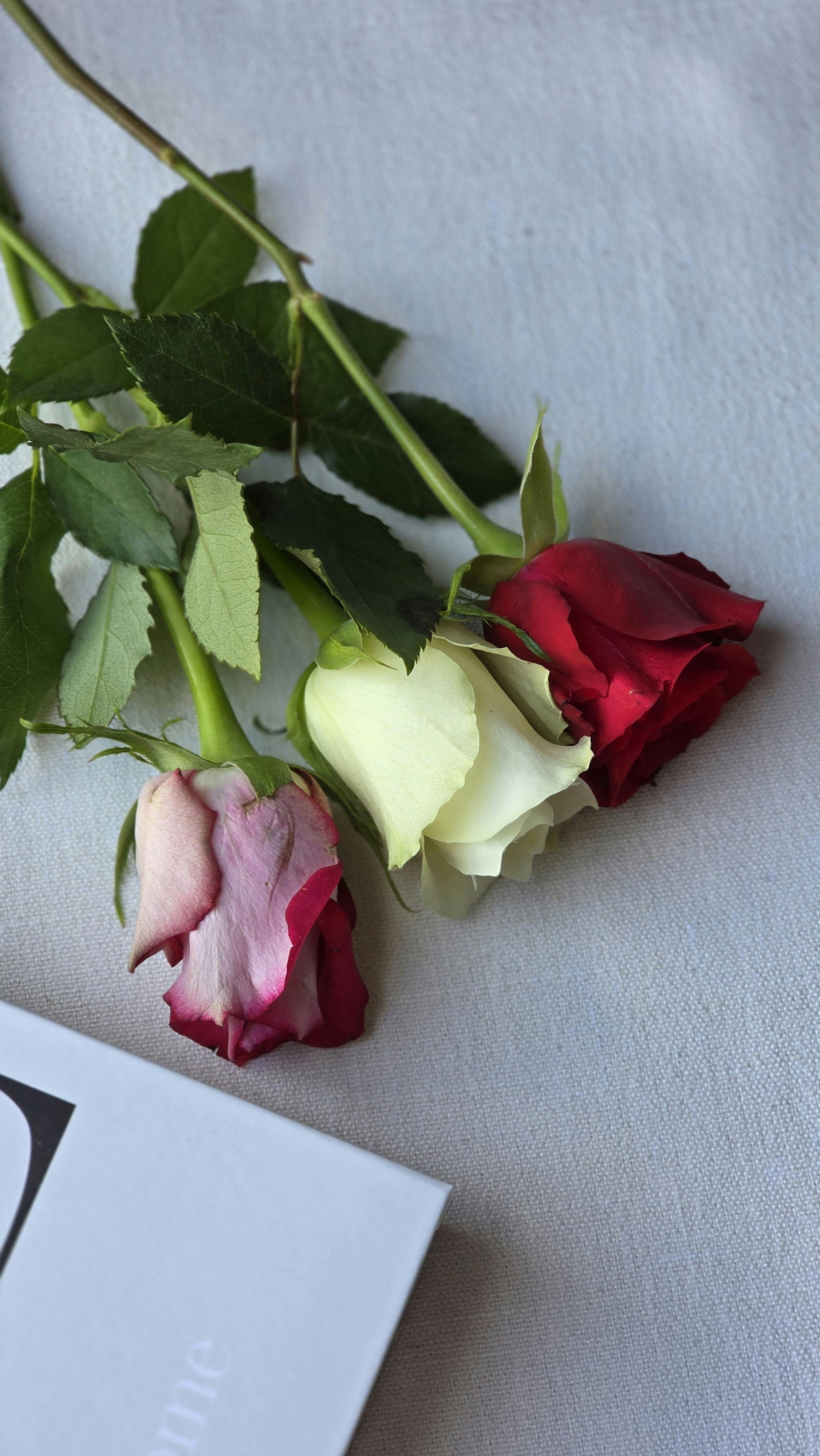 Foto de stock gratuita sobre ambientación romántica, amor, aniversario ...