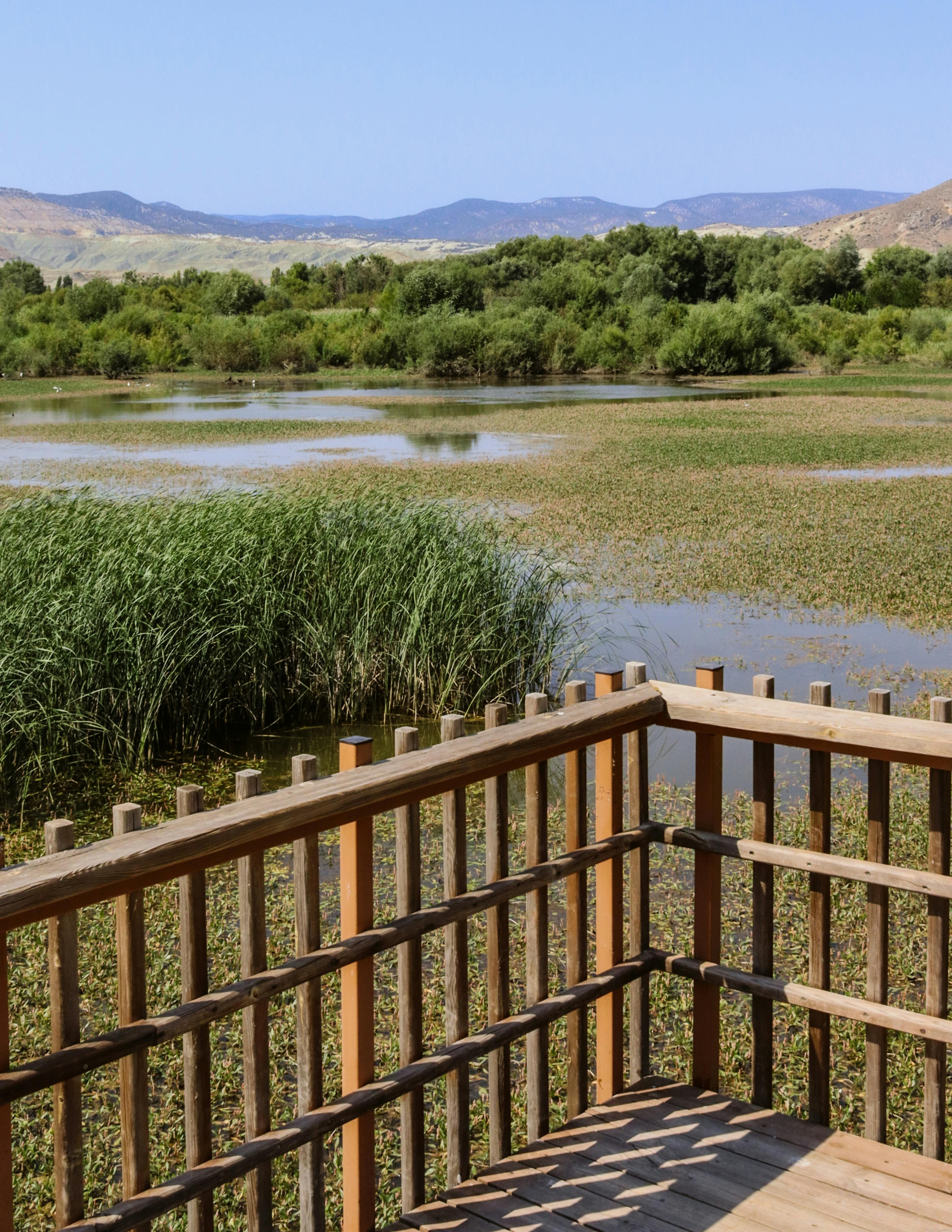 Viewpoint Photos, Download The BEST Free Viewpoint Stock Photos & HD Images