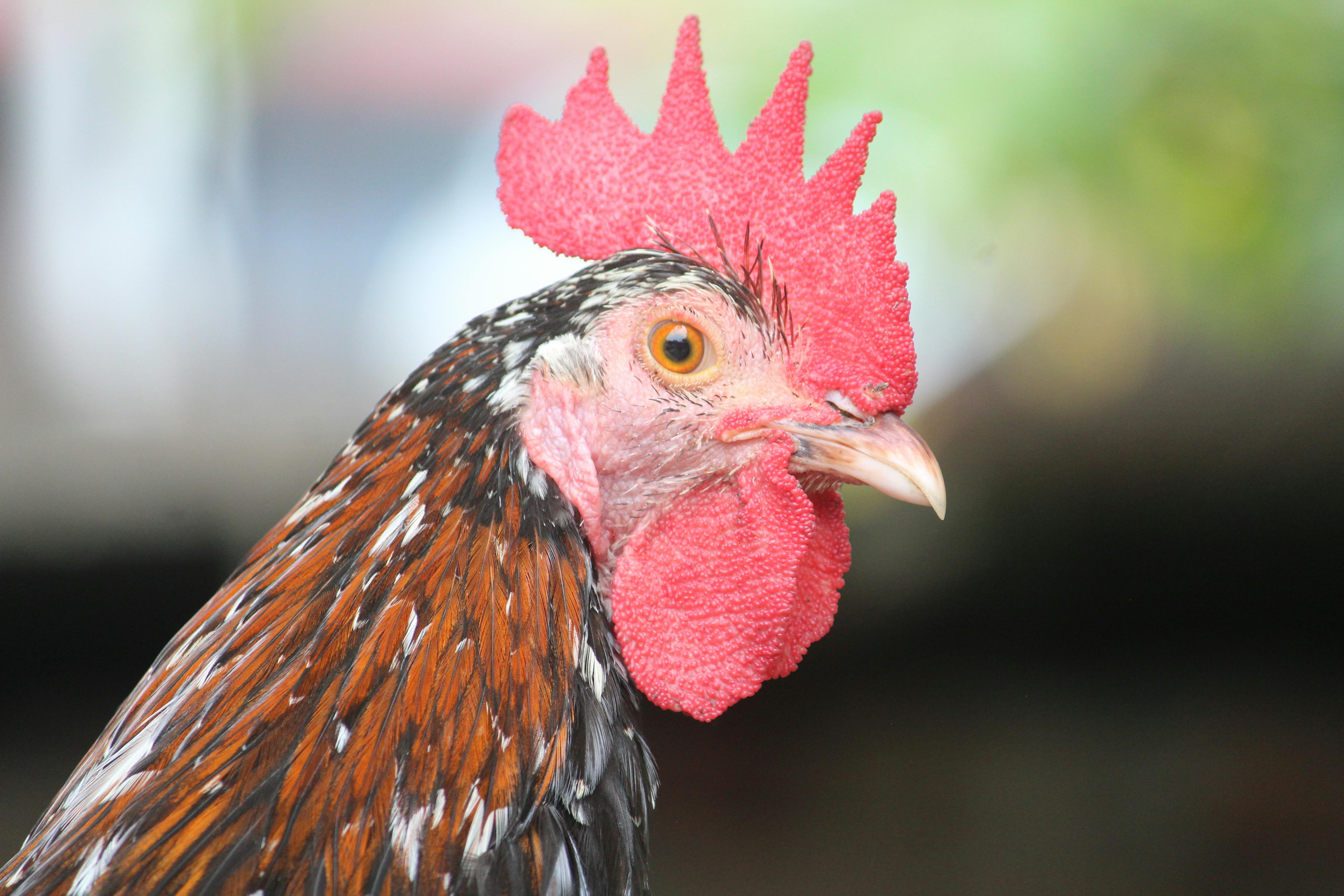 Kids+Drawing+Pictures+Without+Colour Photos, Download The BEST Free ...