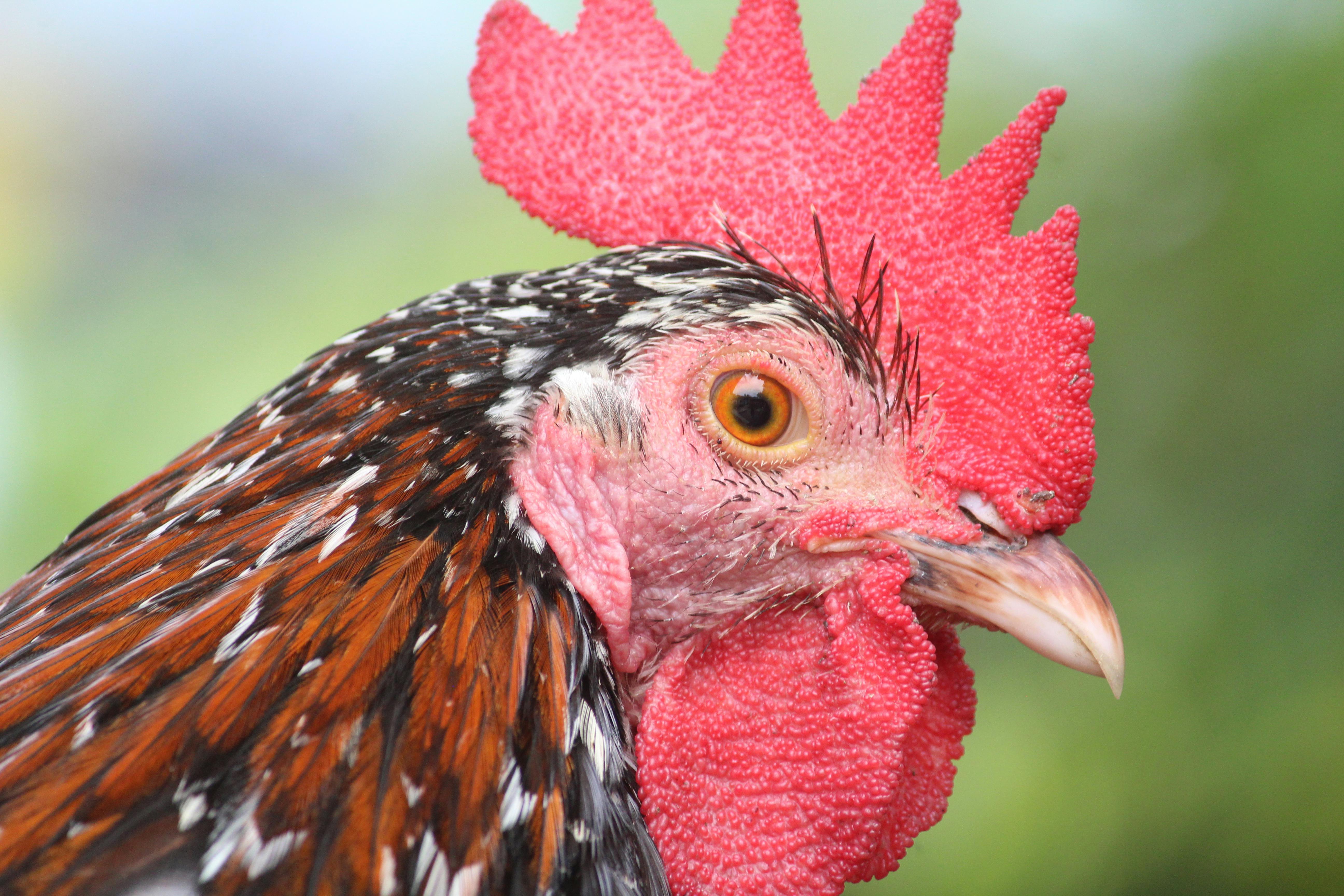 Kids+Drawing+Pictures+Without+Colour Photos, Download The BEST Free ...