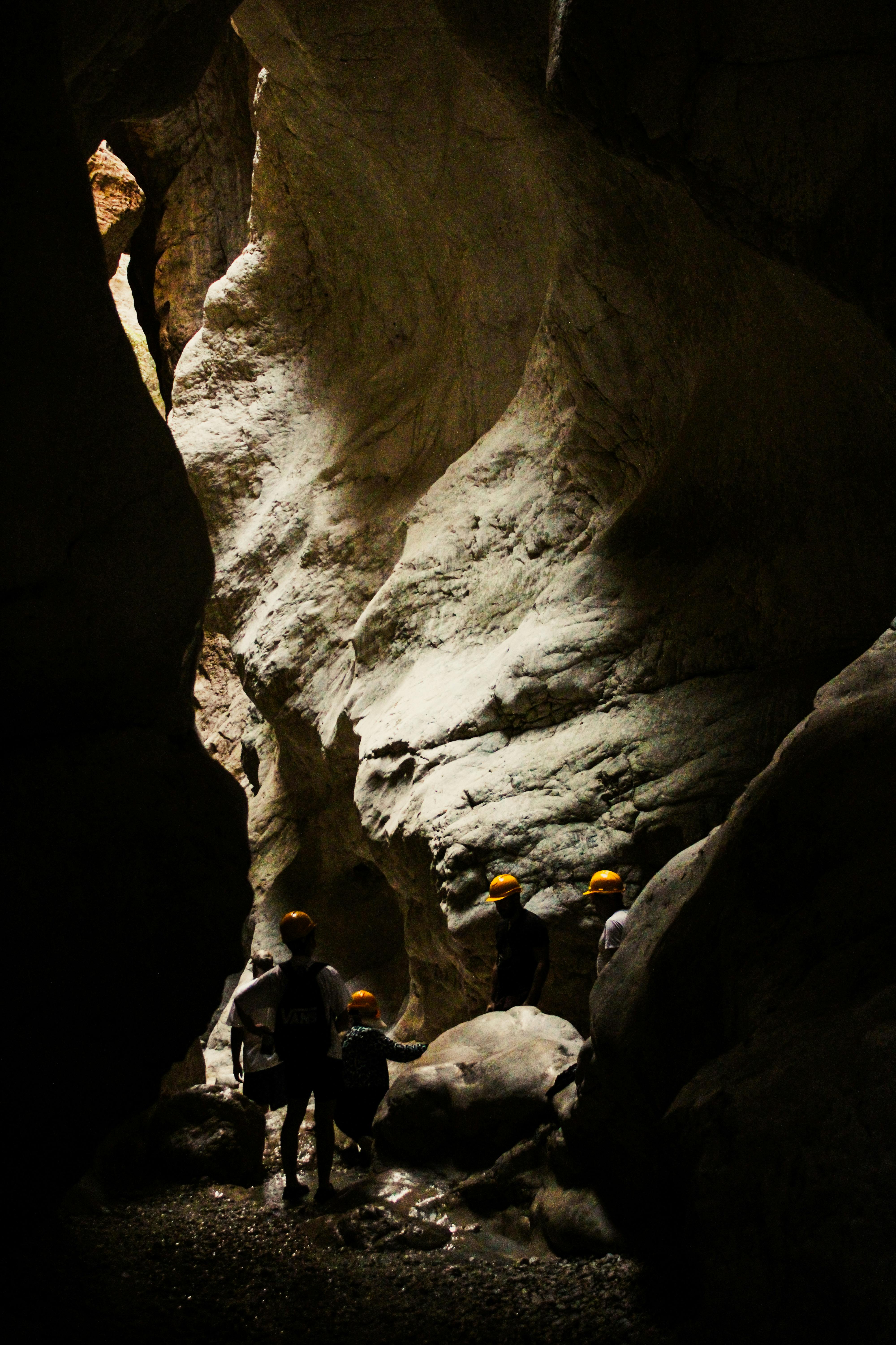 Daydrian Harding Photos, Download The BEST Free Daydrian Harding Stock ...