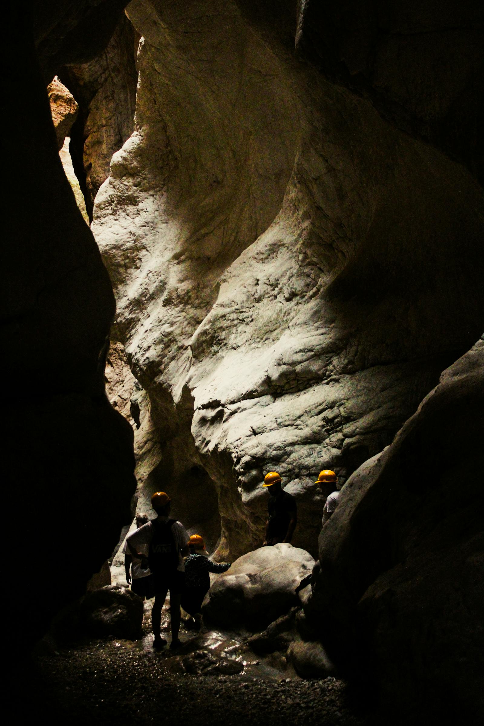 Group+Pfps Photos, Download The BEST Free Group+Pfps Stock Photos & HD ...