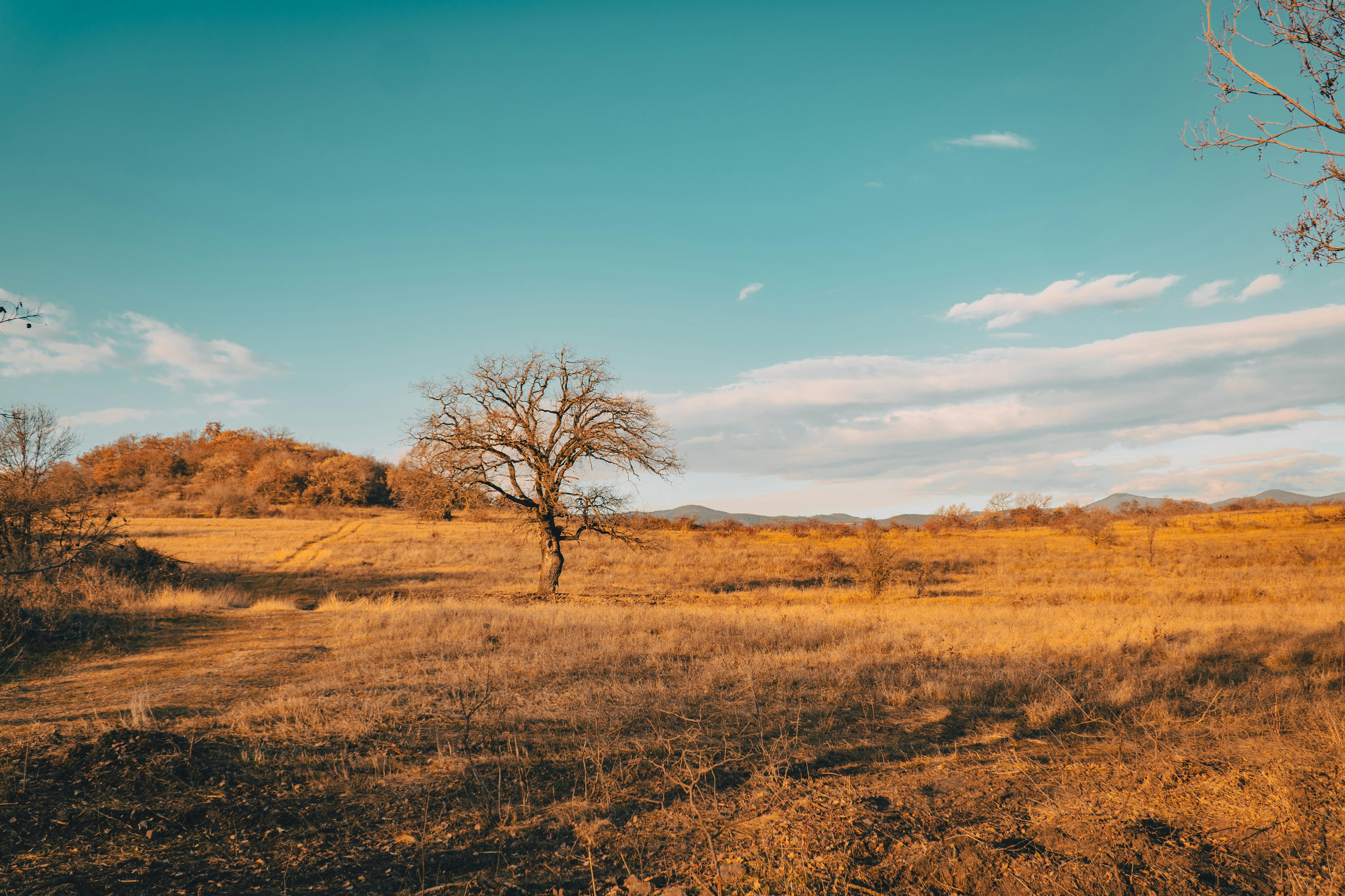 Chut+Land Photos, Download The BEST Free Chut+Land Stock Photos & HD Images