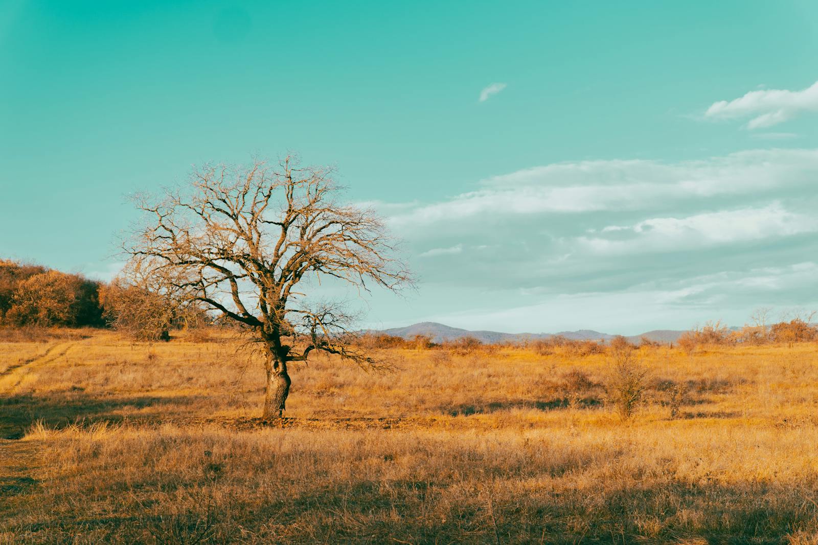 Chut+Land Photos, Download The BEST Free Chut+Land Stock Photos & HD Images