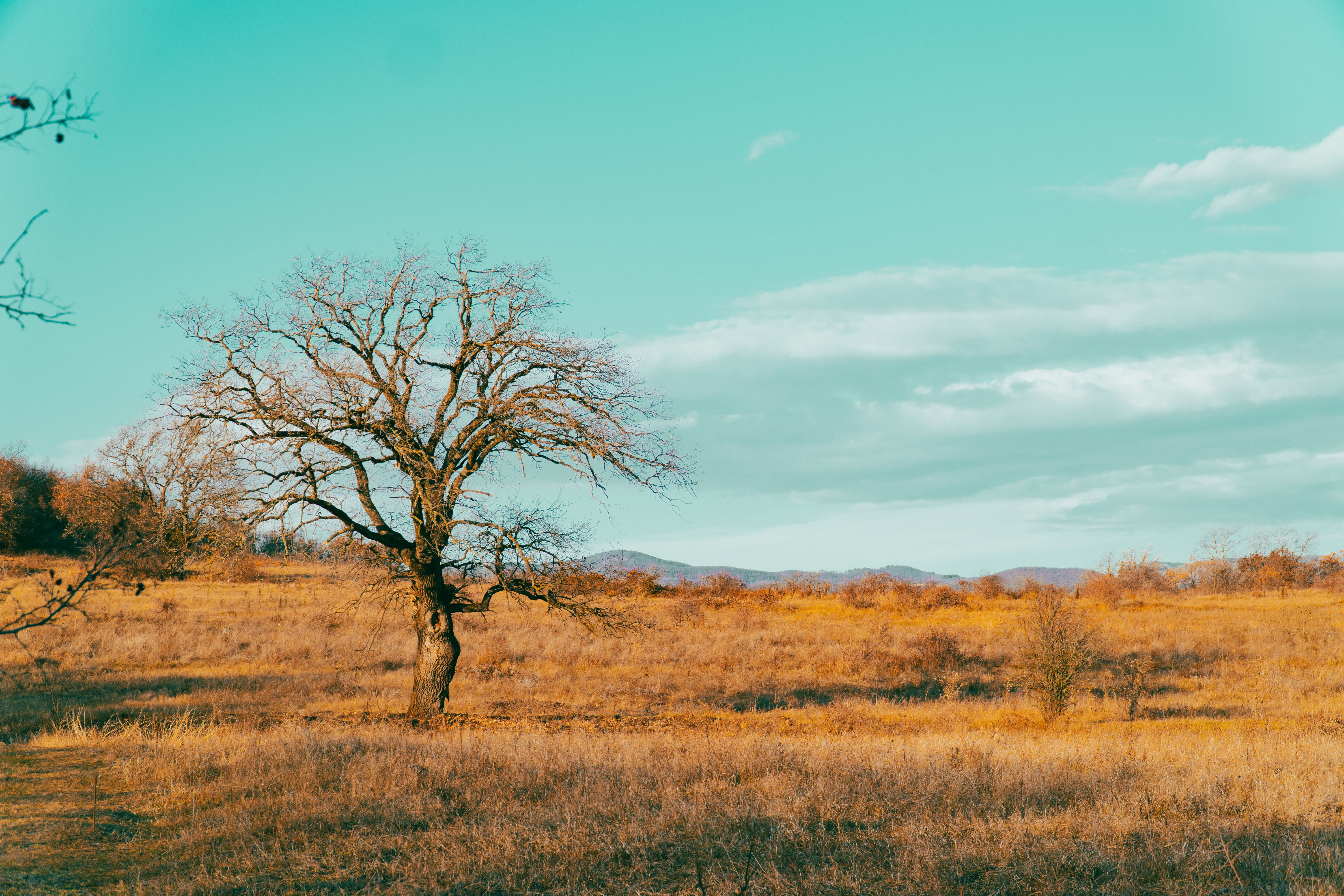 Barren Landscape Photos, Download The BEST Free Barren Landscape Stock ...