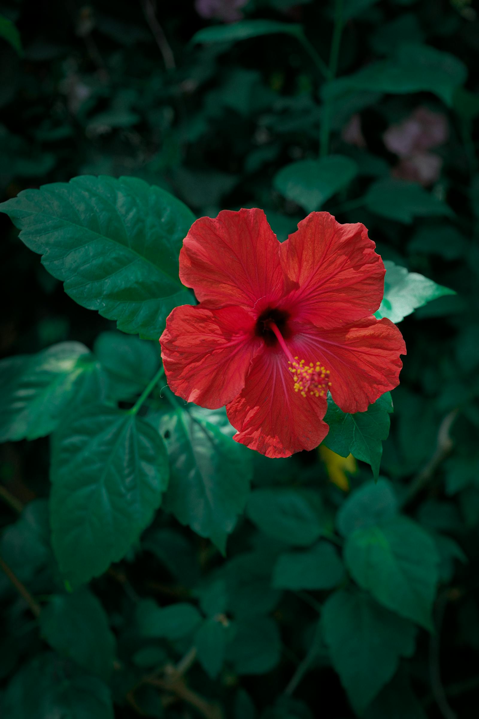 256 X 256 Photos, Download The BEST Free 256 X 256 Stock Photos & HD Images