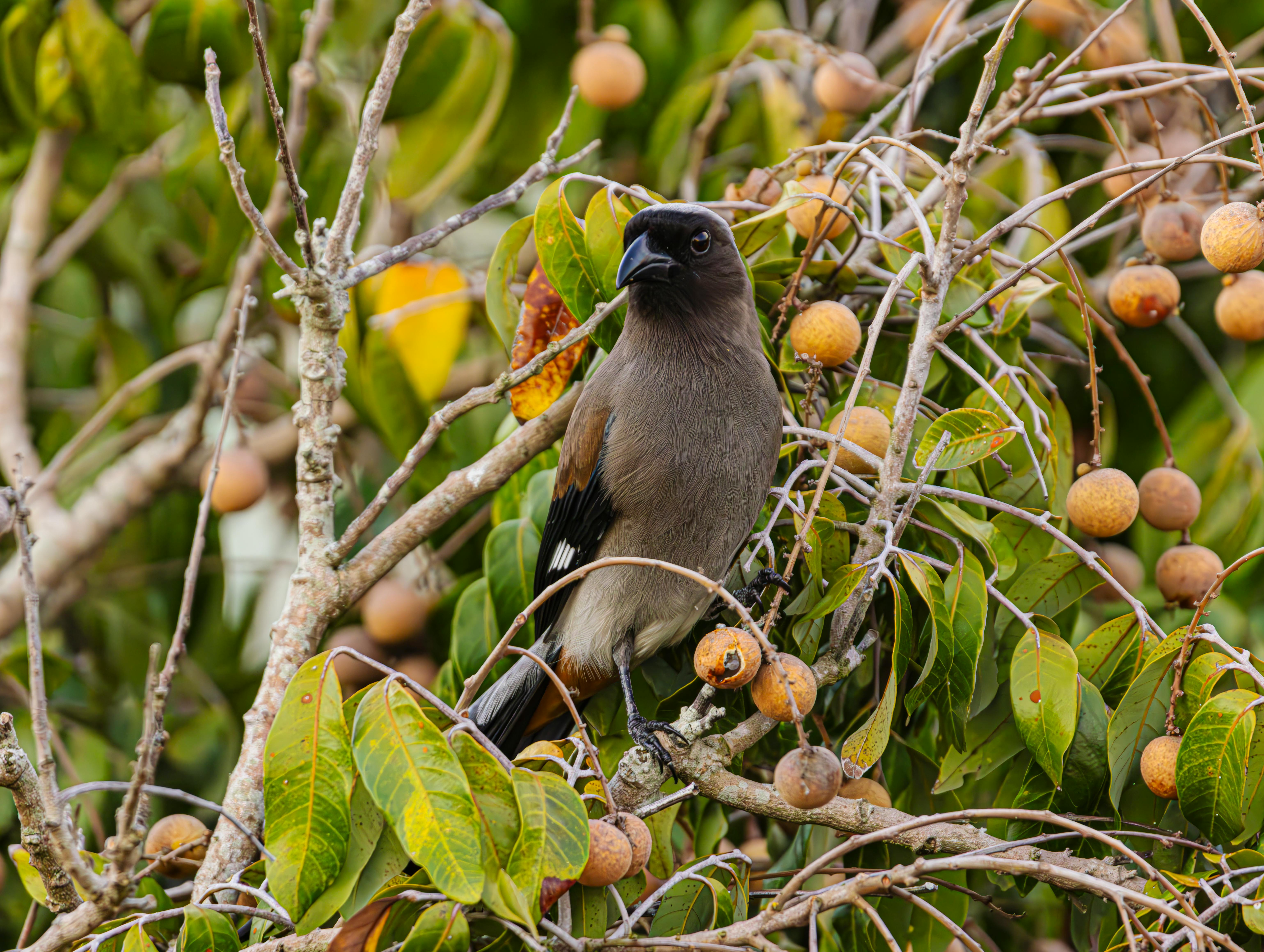 Vladimir Putin Photo Photos, Download The BEST Free Vladimir Putin ...