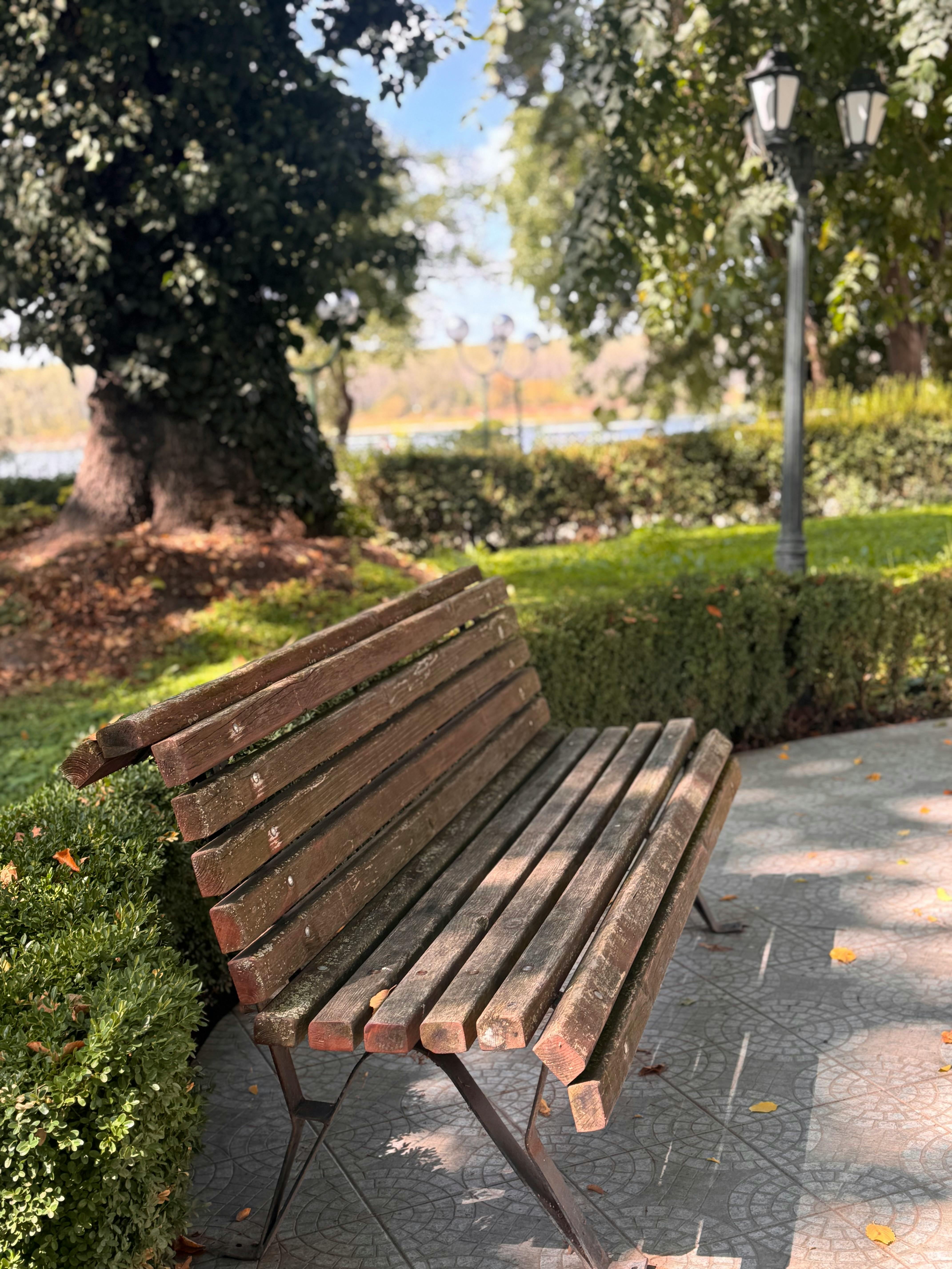 Park And Bench Photos, Download The BEST Free Park And Bench Stock ...