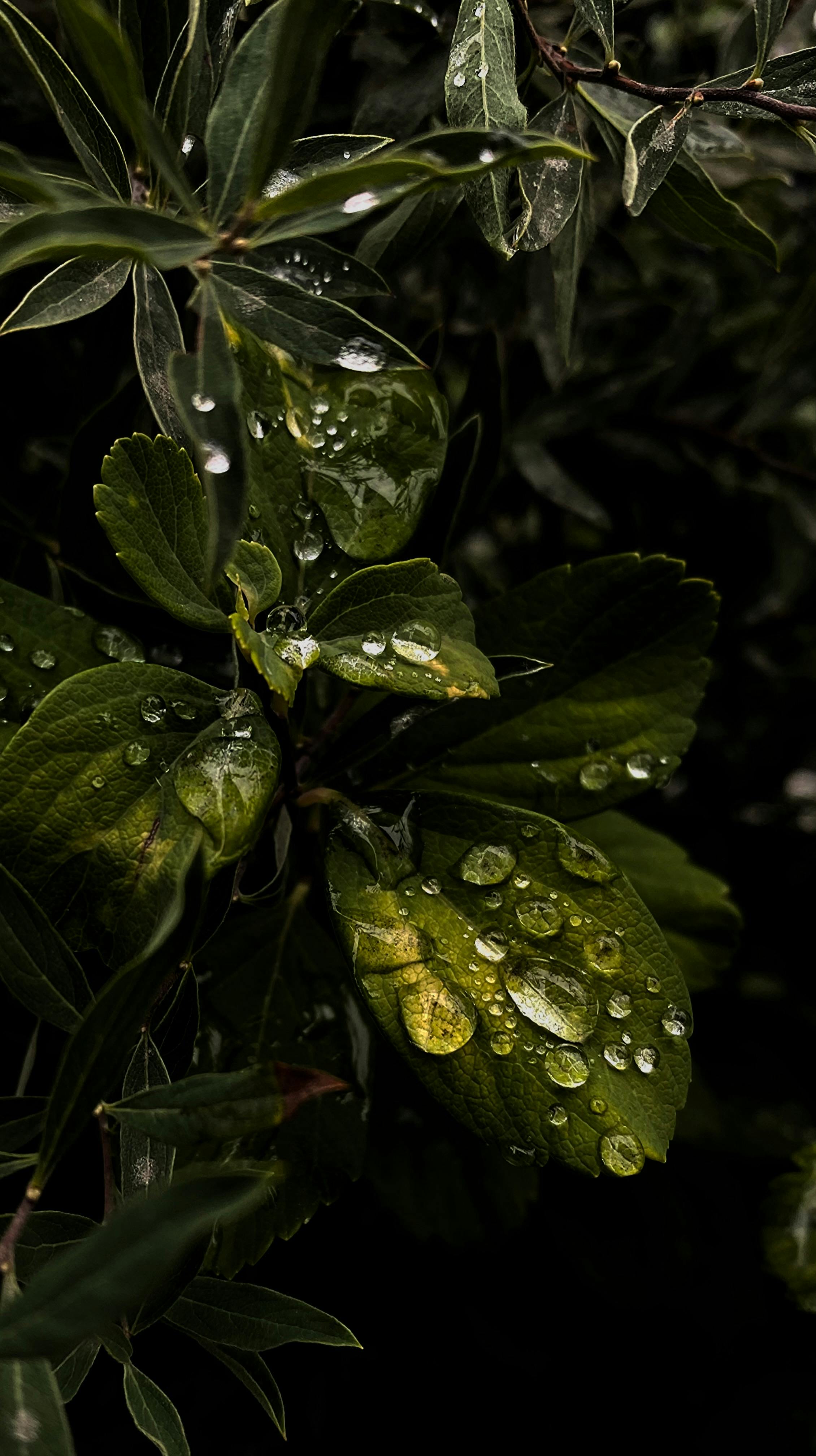 Minecraft+Thumbnail+Background Photos, Download The BEST Free Minecraft ...