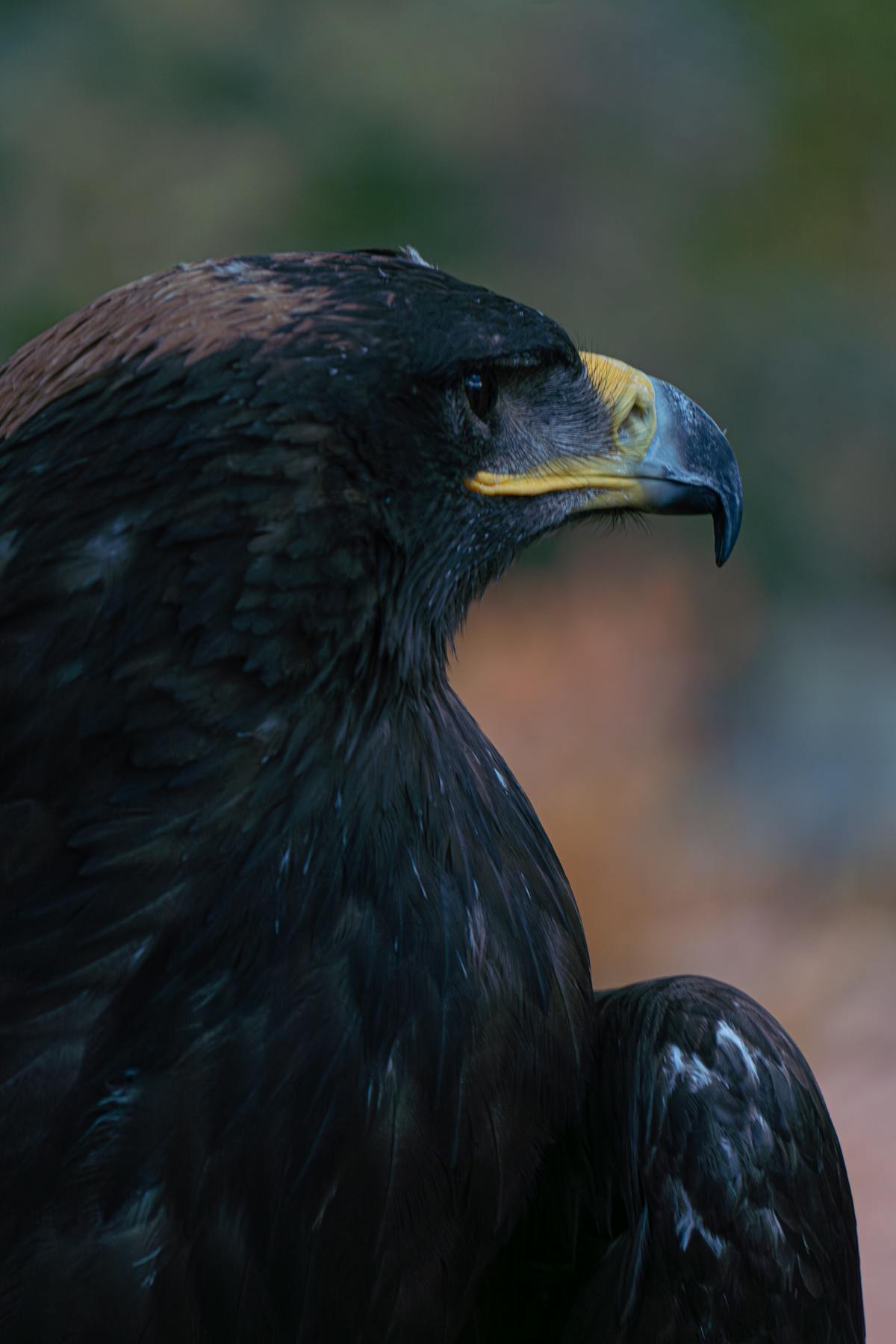 Admin Profile Photos, Download The BEST Free Admin Profile Stock Photos ...