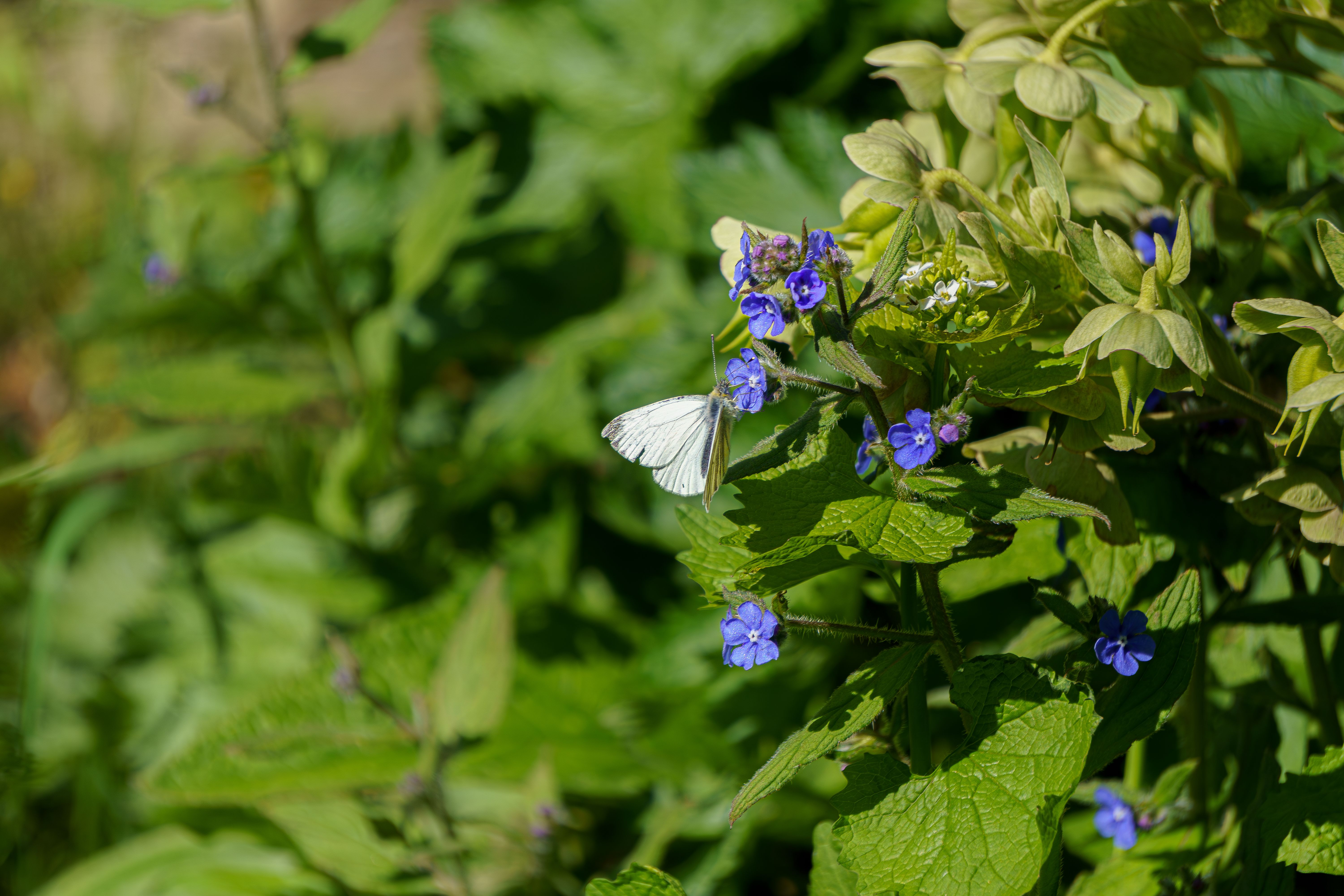 Botany Photos, Download The BEST Free Botany Stock Photos & HD Images