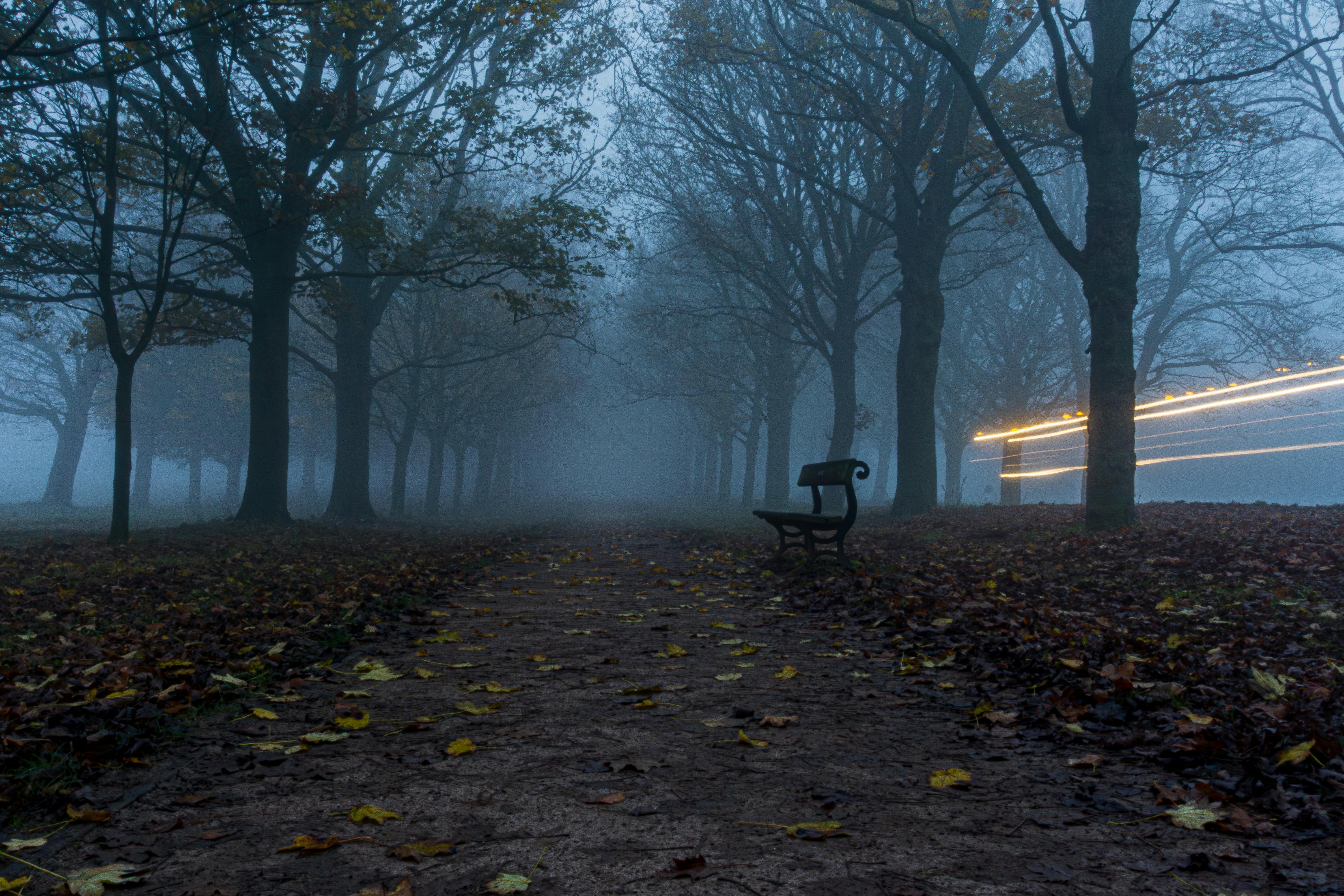 Damp+Lips Photos, Download The BEST Free Damp+Lips Stock Photos & HD Images