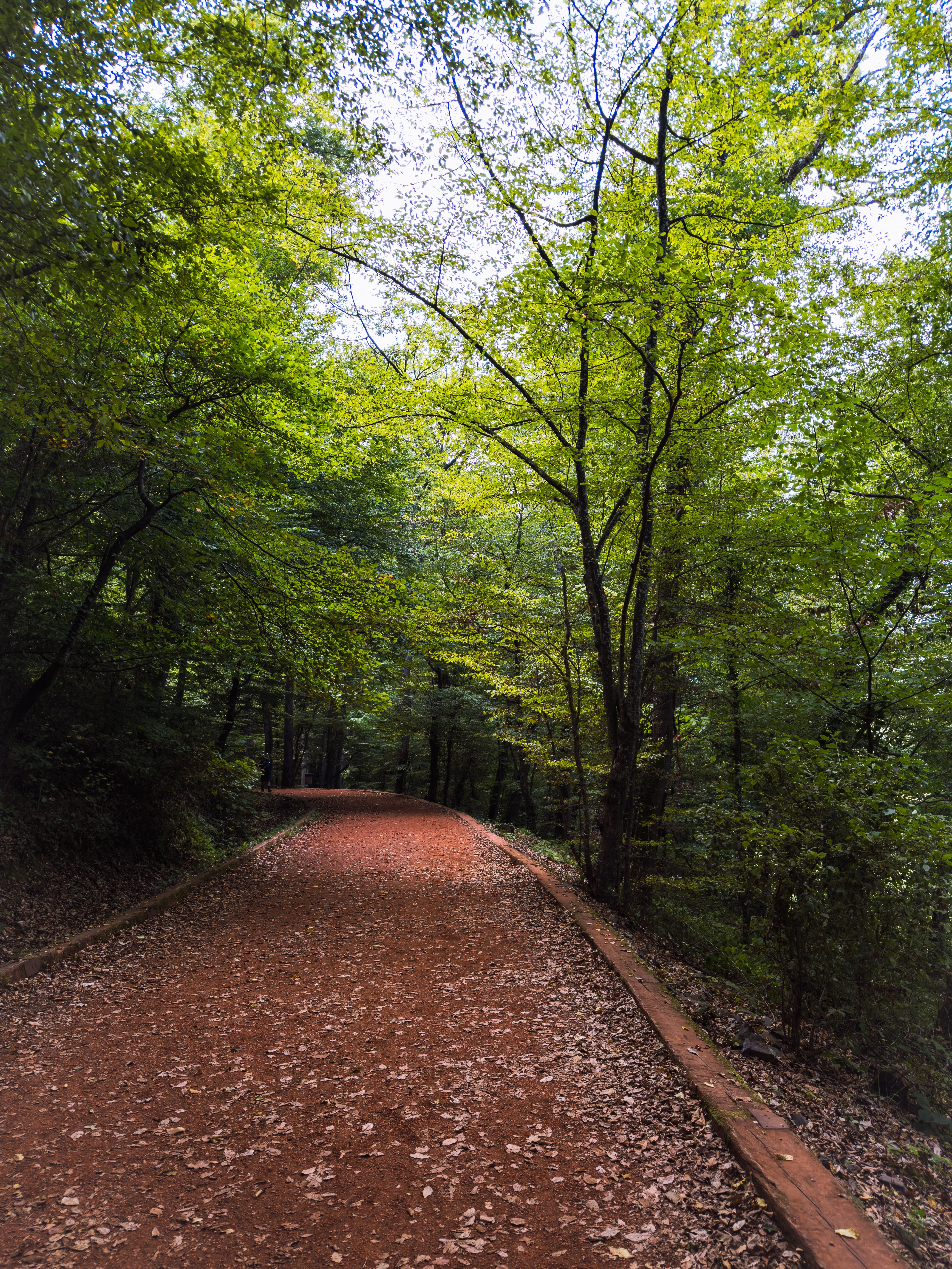 Nature Walk Photos, Download The BEST Free Nature Walk Stock Photos ...