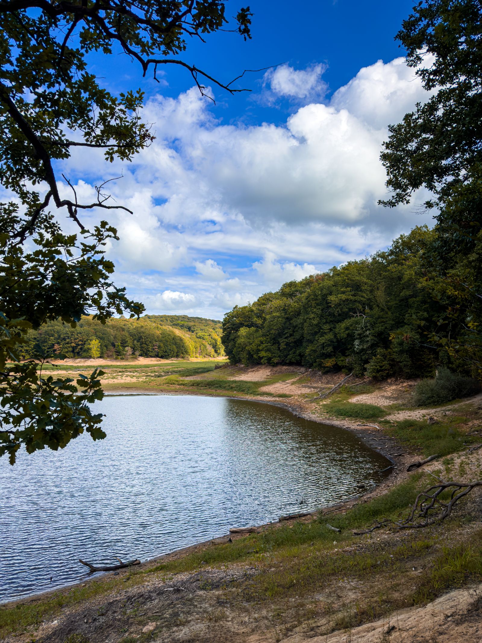 Forest Lake Photos, Download The BEST Free Forest Lake Stock Photos ...