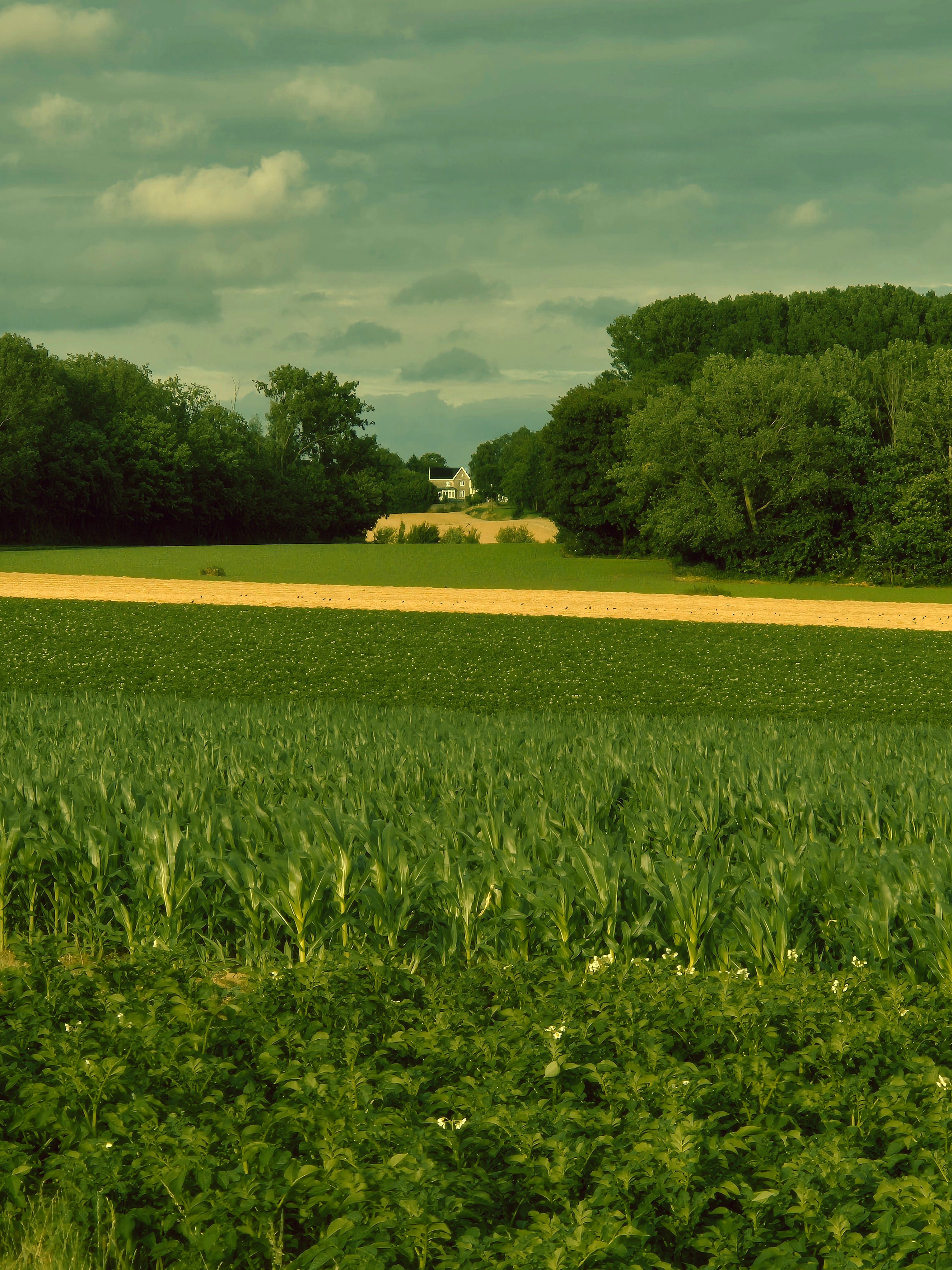 Scenic Rural Landscape with Farmhouse and Fields · Free Stock Photo