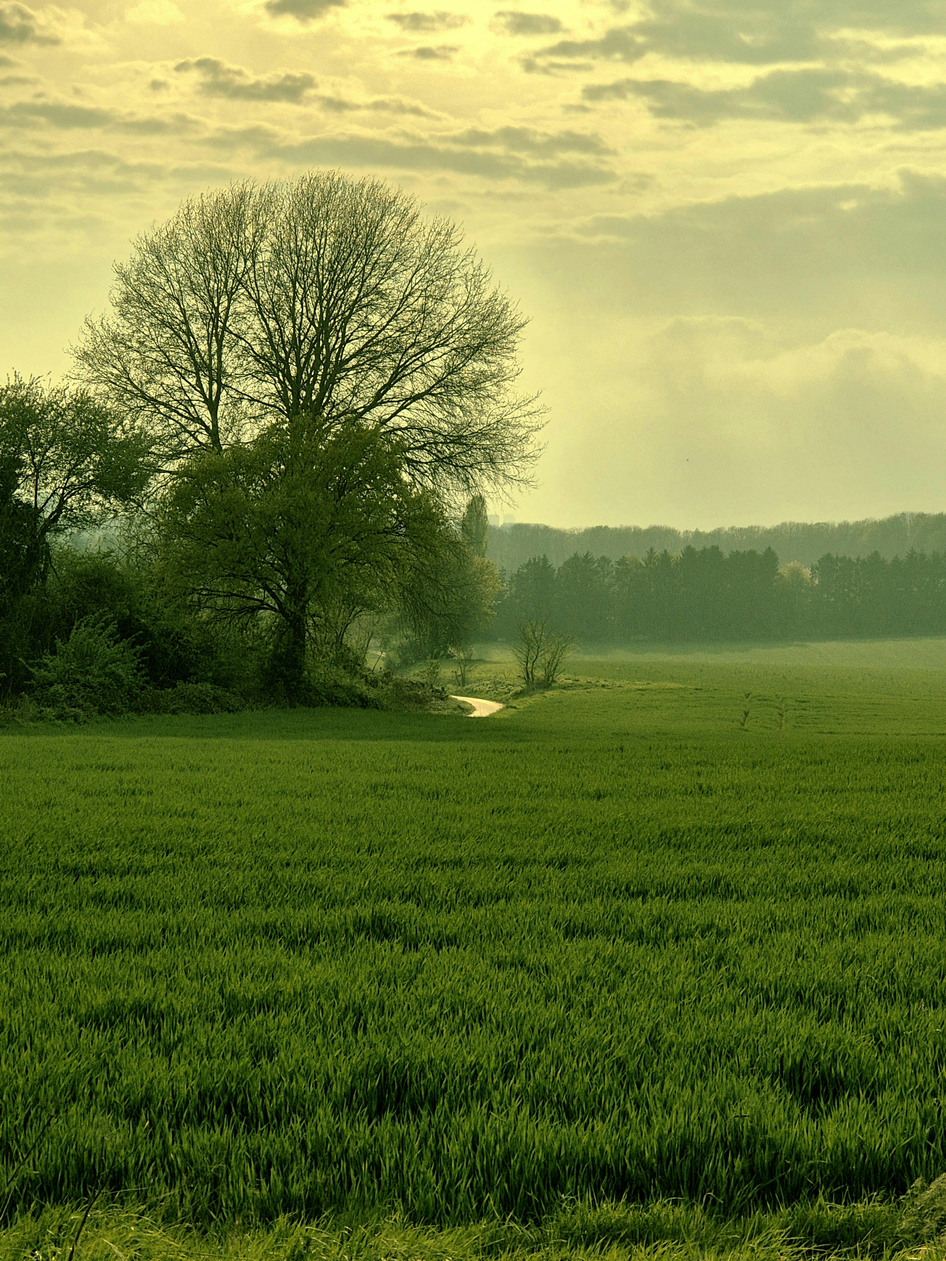 Magical Farm Photos, Download The BEST Free Magical Farm Stock Photos ...