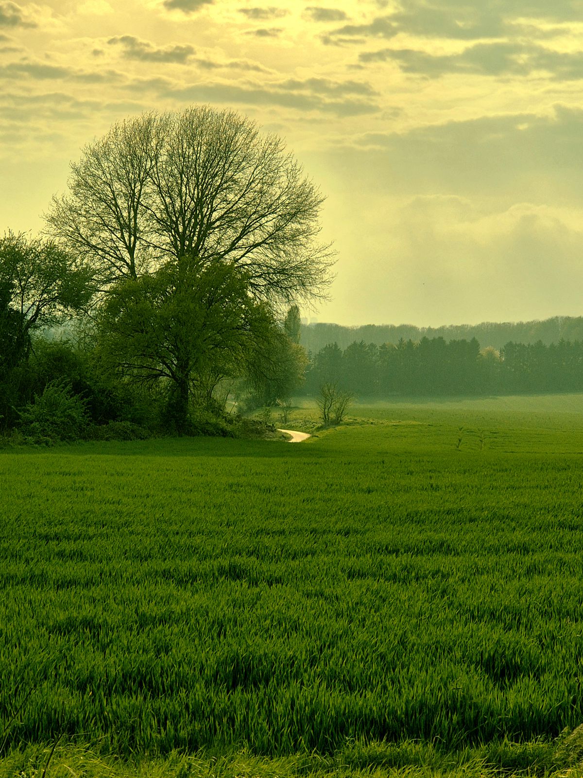 Farm Landscape Photos, Download The BEST Free Farm Landscape Stock ...