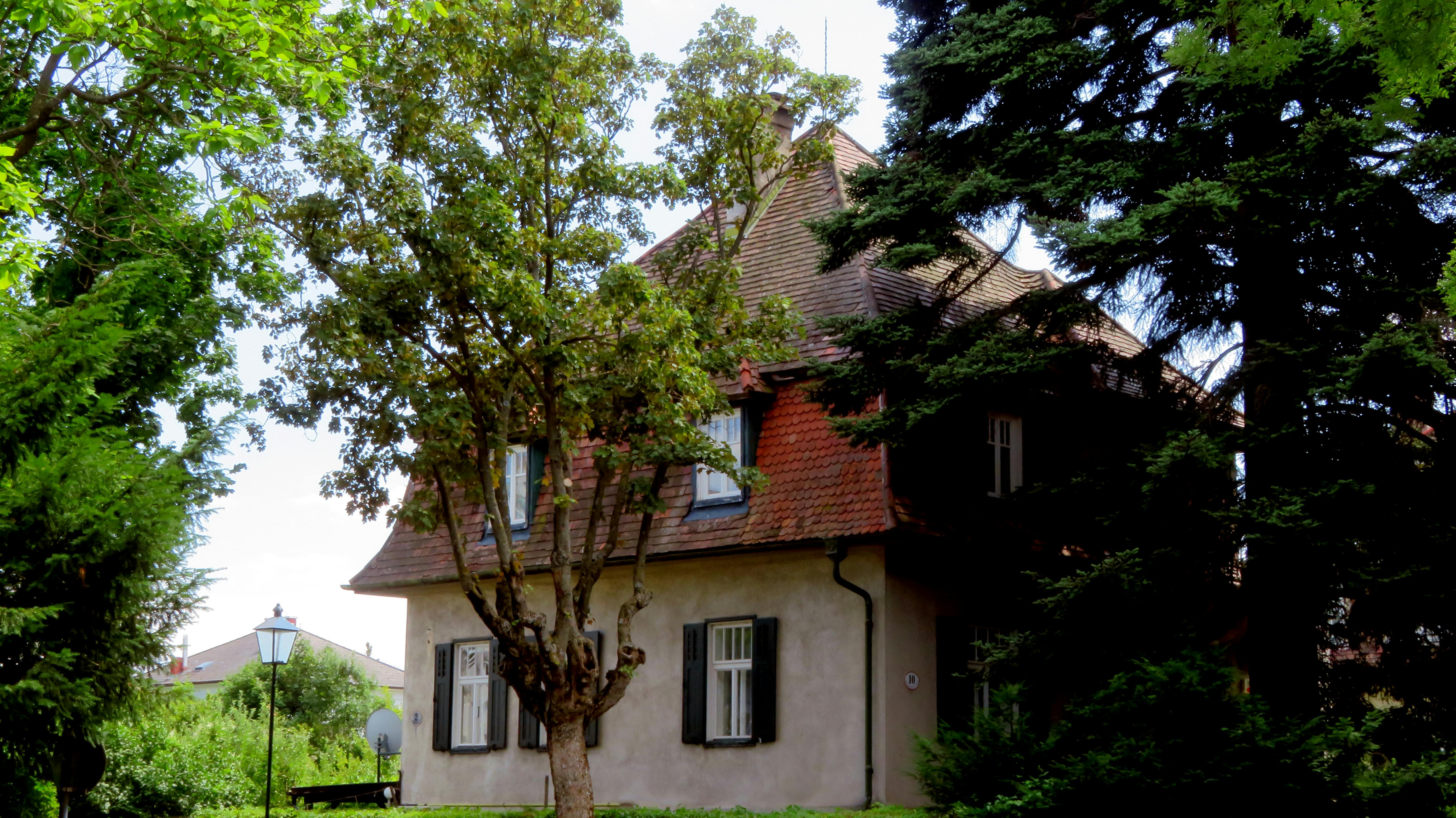 Whole House Wood Burning Stove: Efficient Heating Solutions