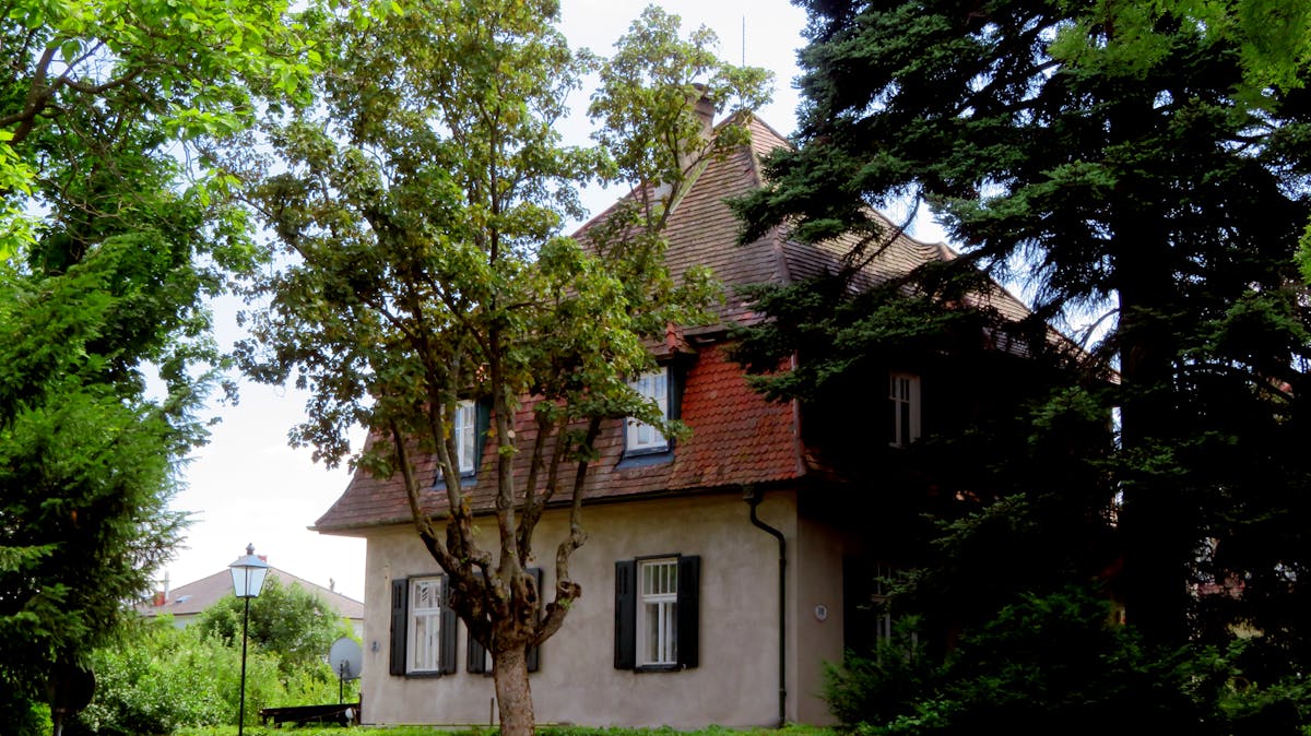 Real+Gyatt+Pics Photos, Download The BEST Free Real+Gyatt+Pics Stock ...