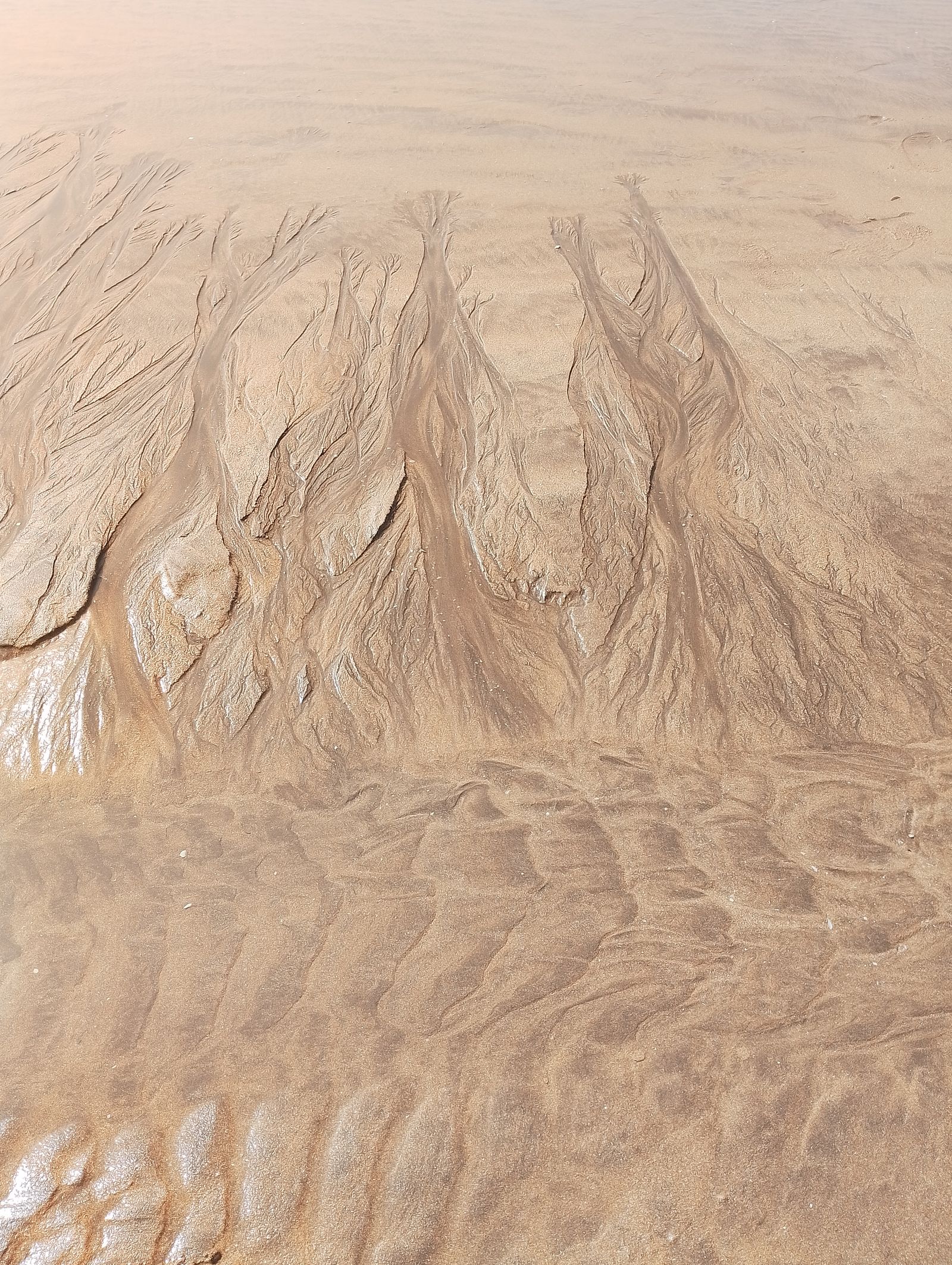 Natural Shapes Photos, Download The BEST Free Natural Shapes Stock ...