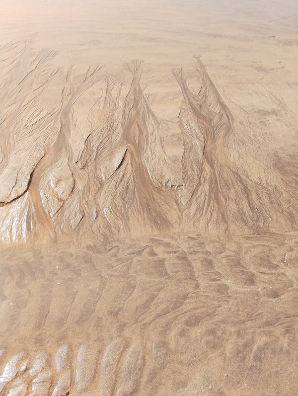 Natural Shapes Photos, Download The BEST Free Natural Shapes Stock ...