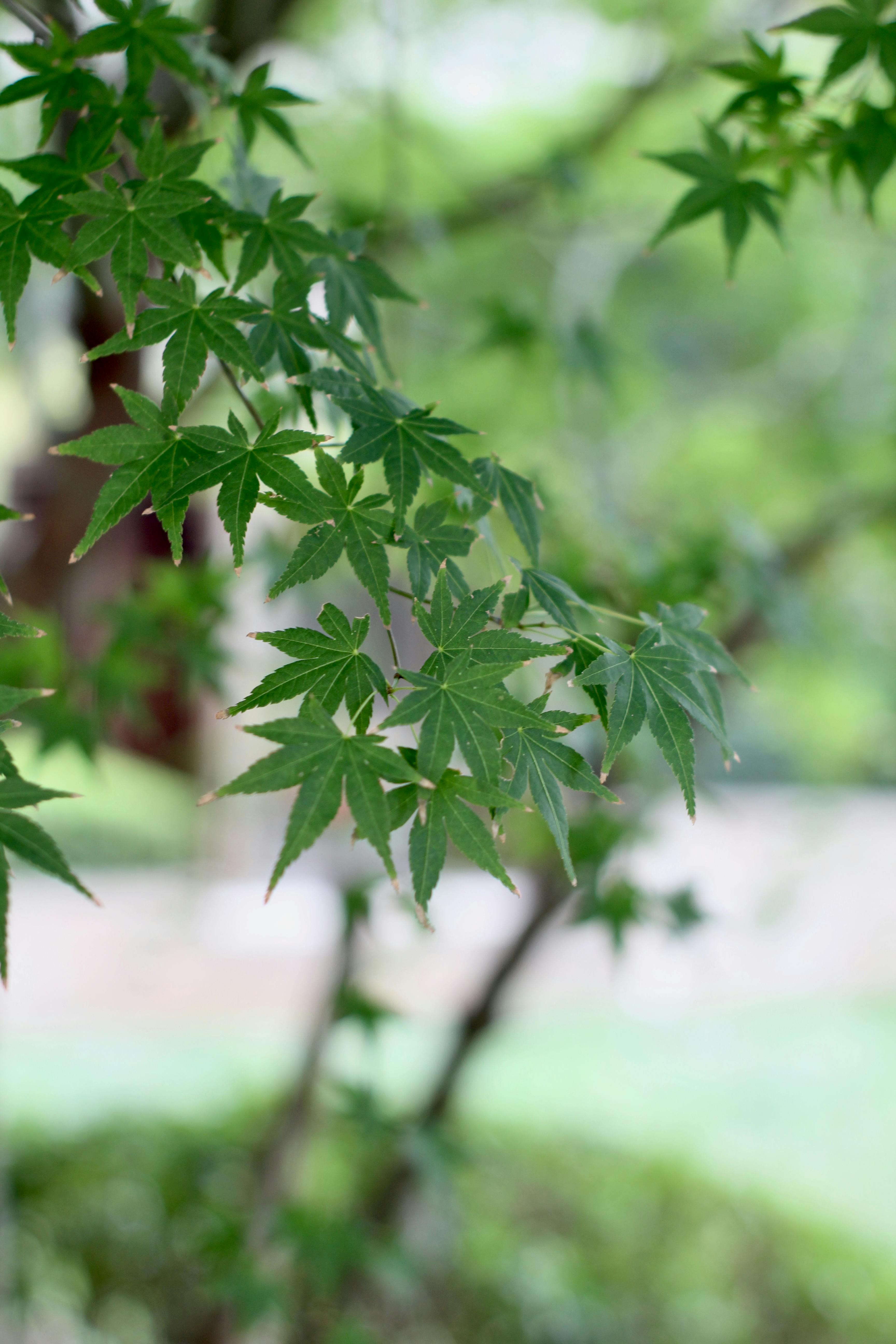 Vladimir Putin Photo Photos, Download The BEST Free Vladimir Putin ...