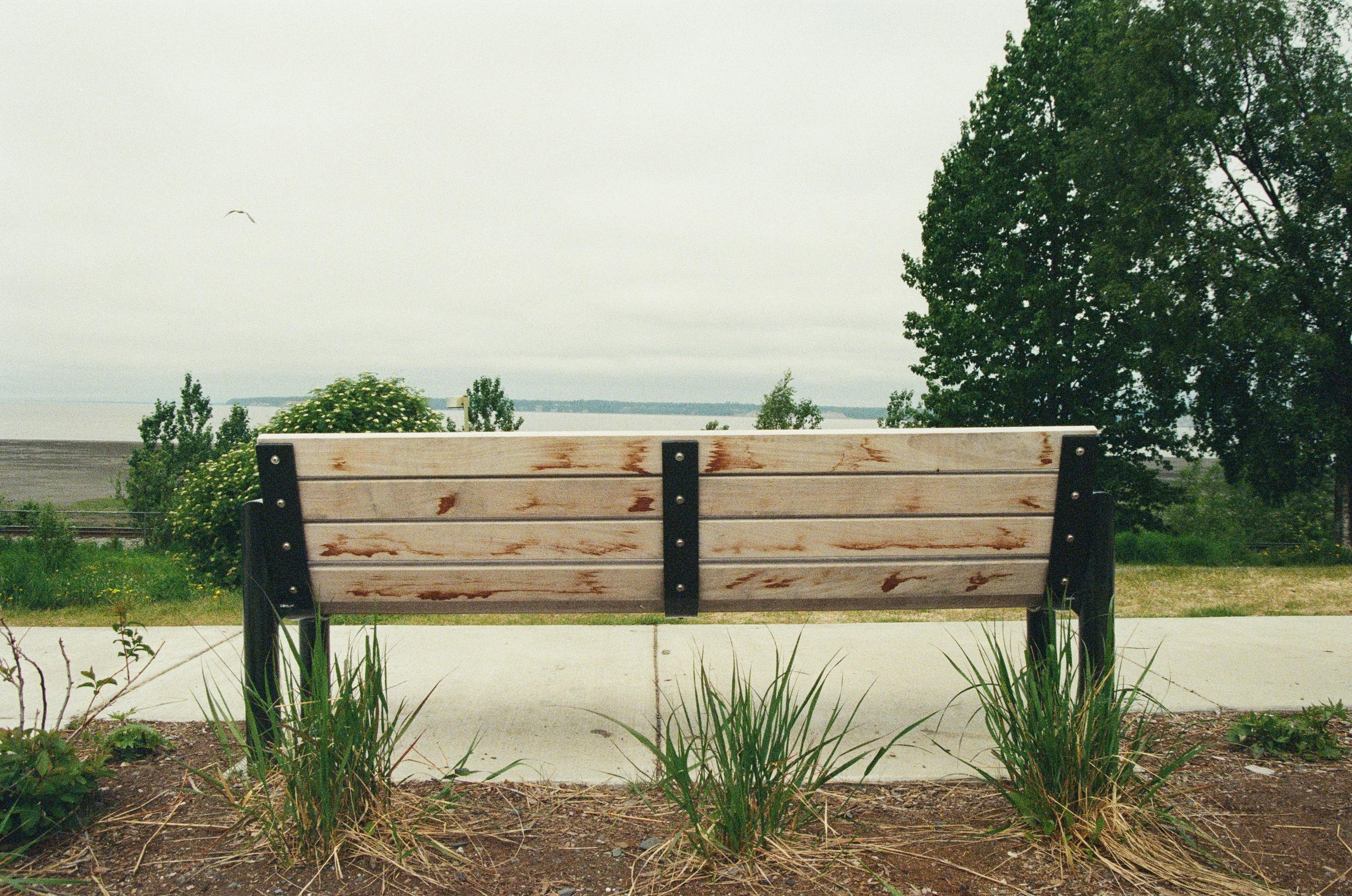 Testimony Background Photos, Download The BEST Free Testimony ...